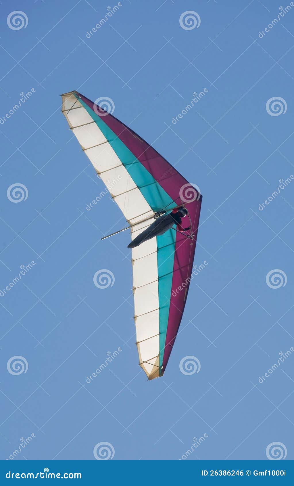 Delta wing stock photo. Image of delta, passenger, nature - 26386246