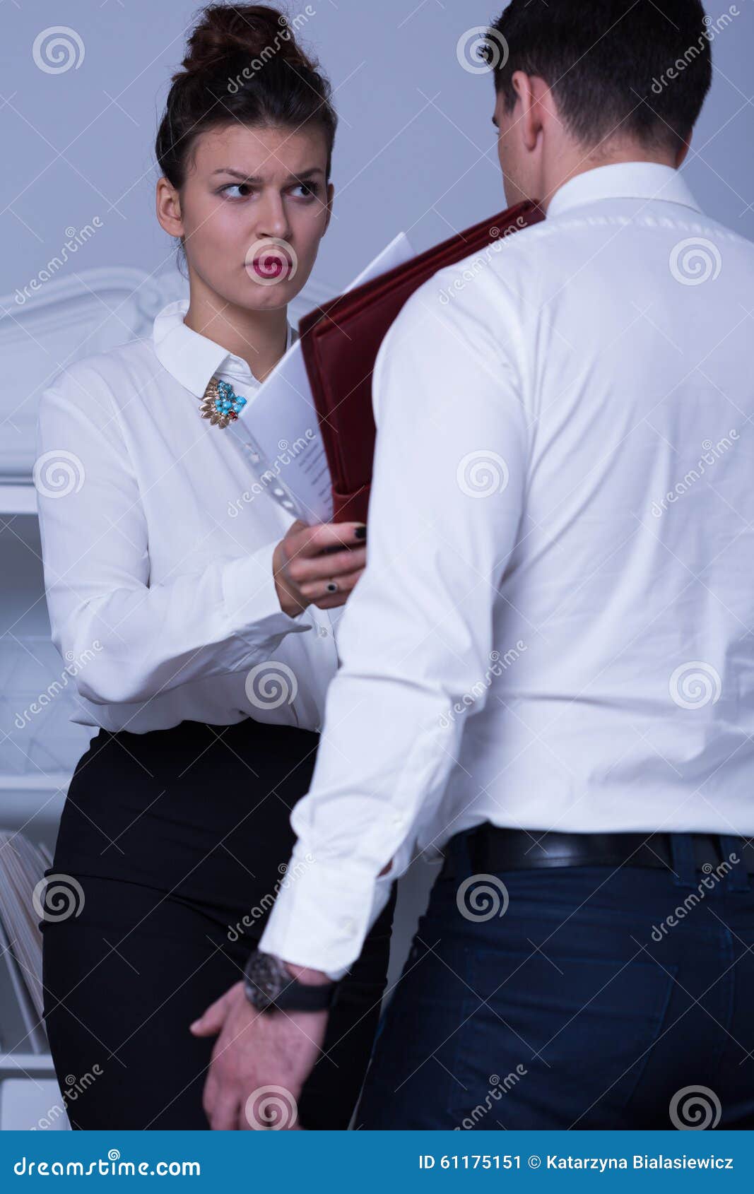 Demanding female leader stock image. Image of modern - 61175151