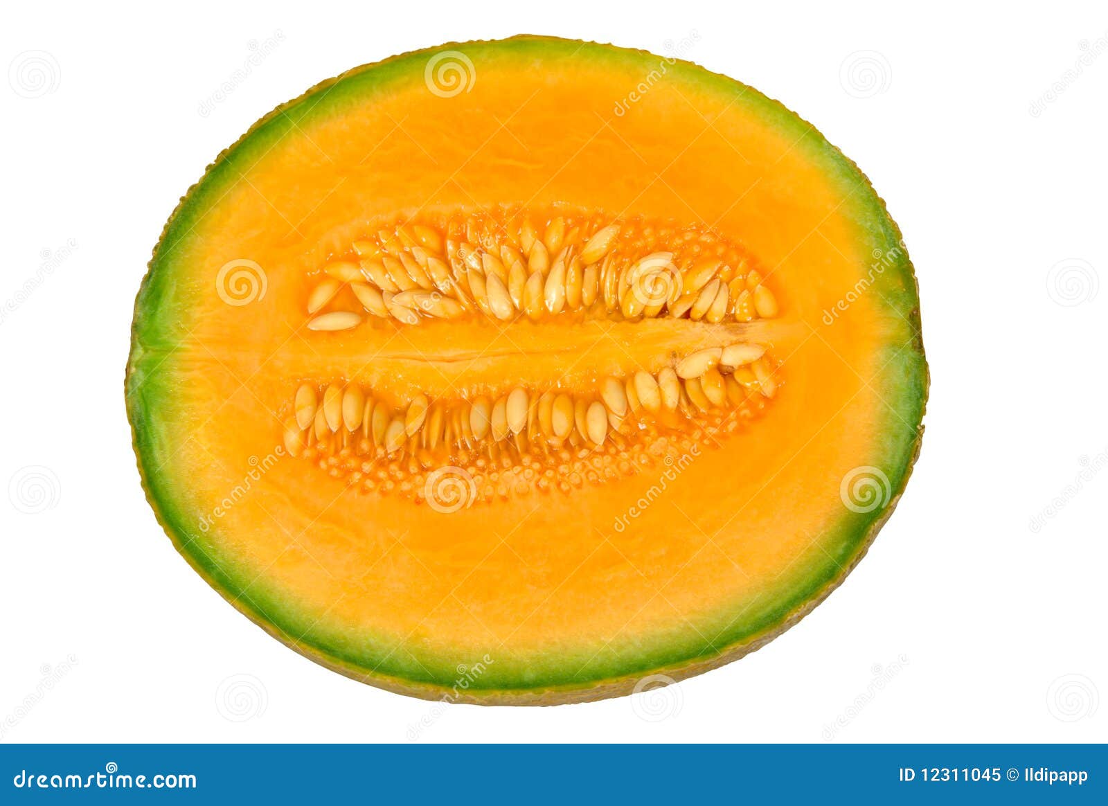 Demi de melon de cantaloup image stock. Image du coupure - 12311045