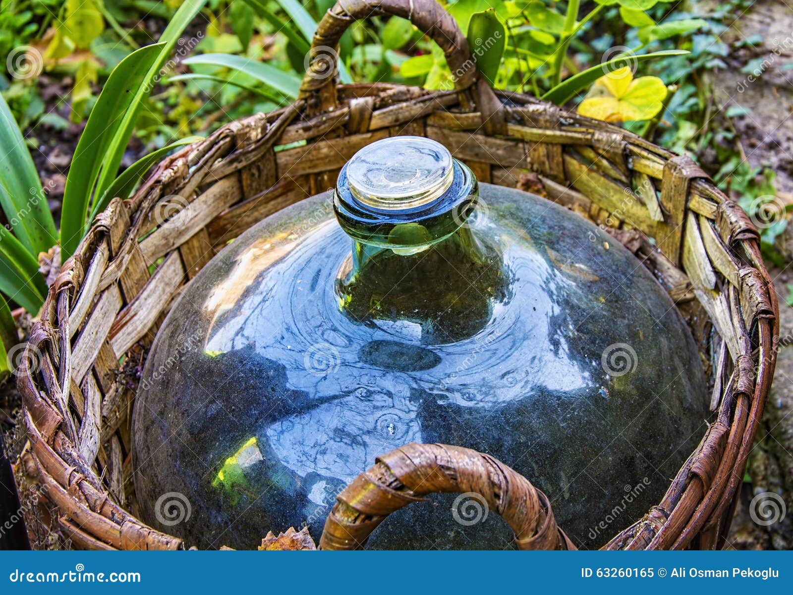 Demijohn stock image. Image of bottle, vinification, cellar - 63260165