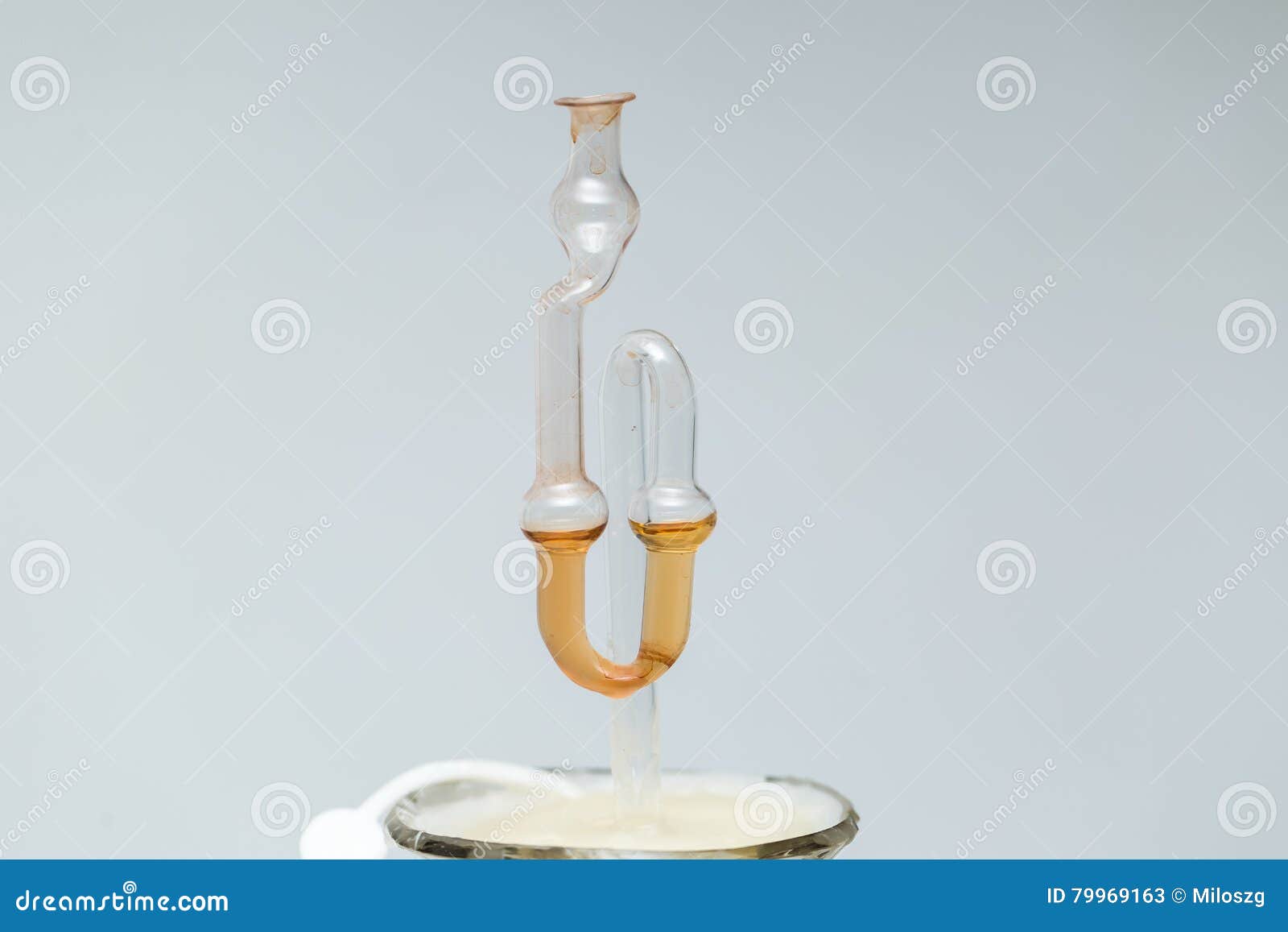 Demijohn with Glass Fermentation Lock. Stock Image - Image of craft ...