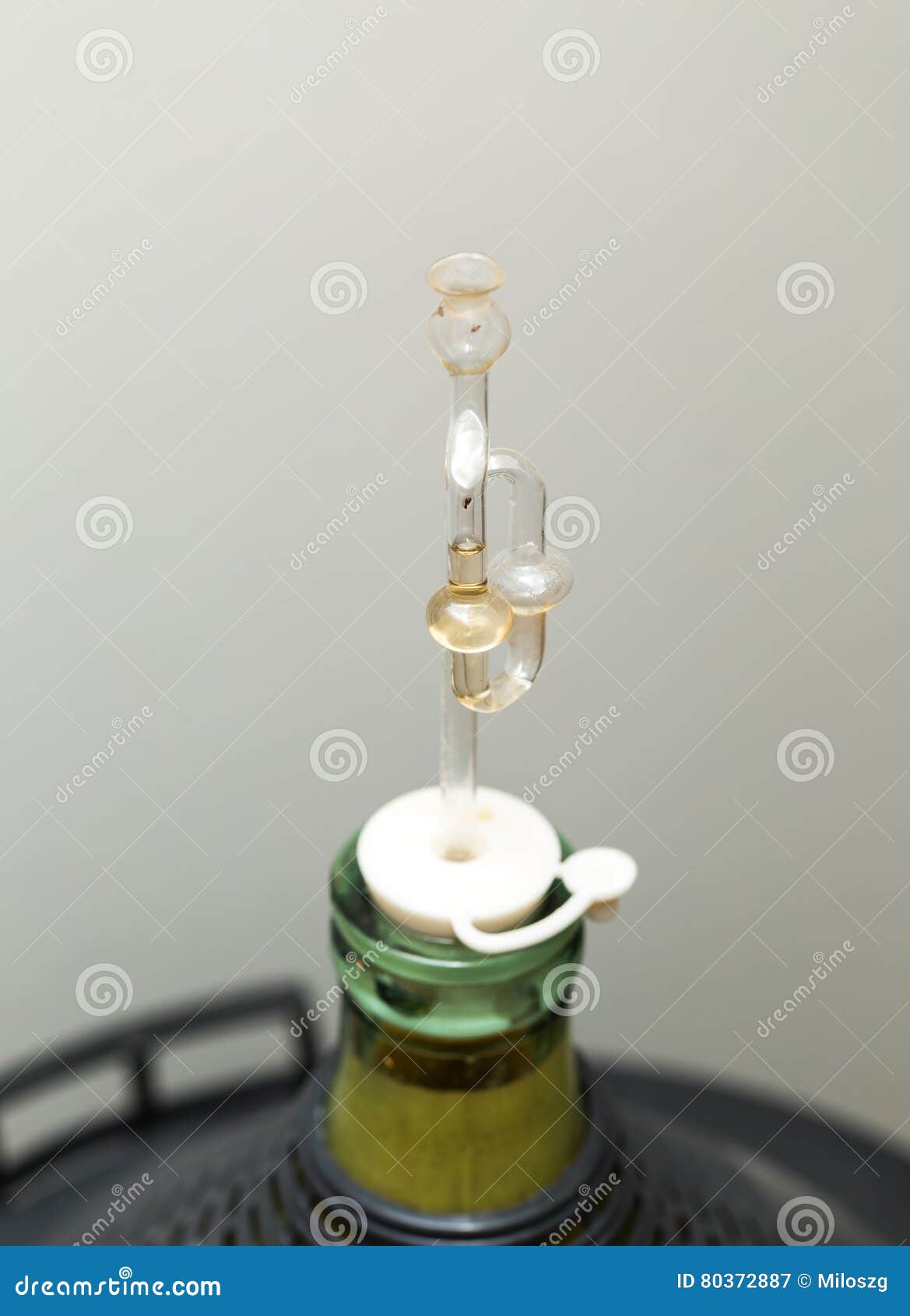 Demijohn with Glass Fermentation Lock. Stock Image - Image of ferment ...