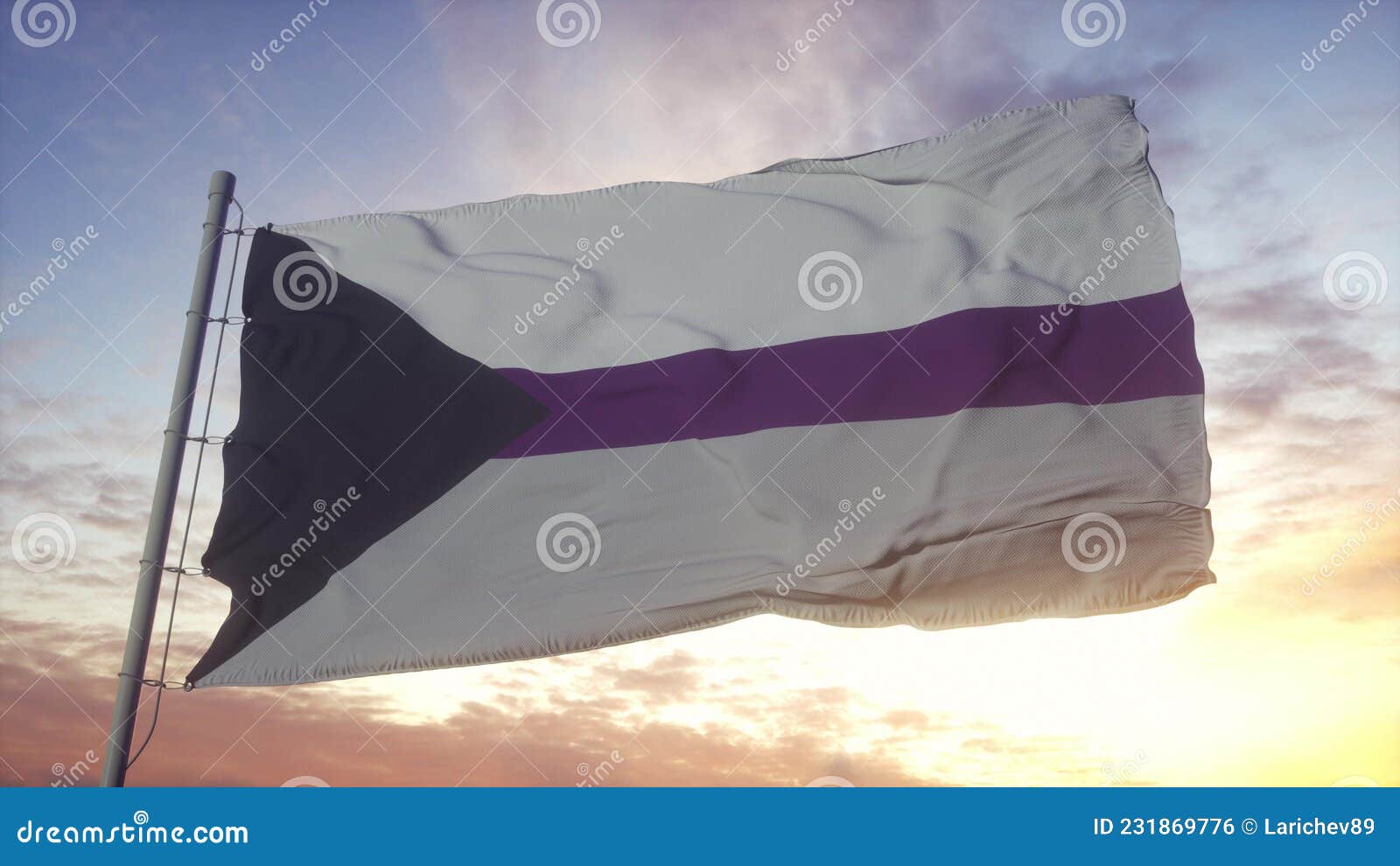 Demisexual Pride Flag Cartoon Vector 185229923
