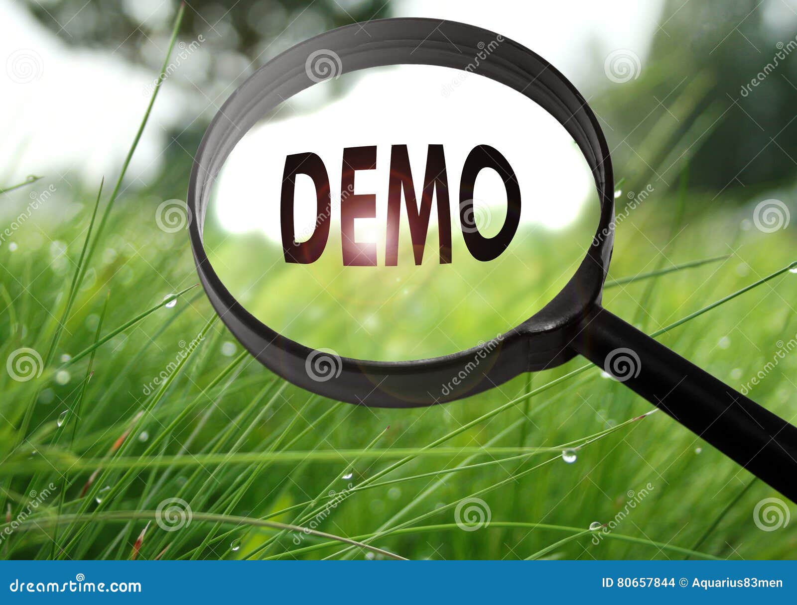 Demo stock photo. Image of downloading, internet, demonstration - 80657844