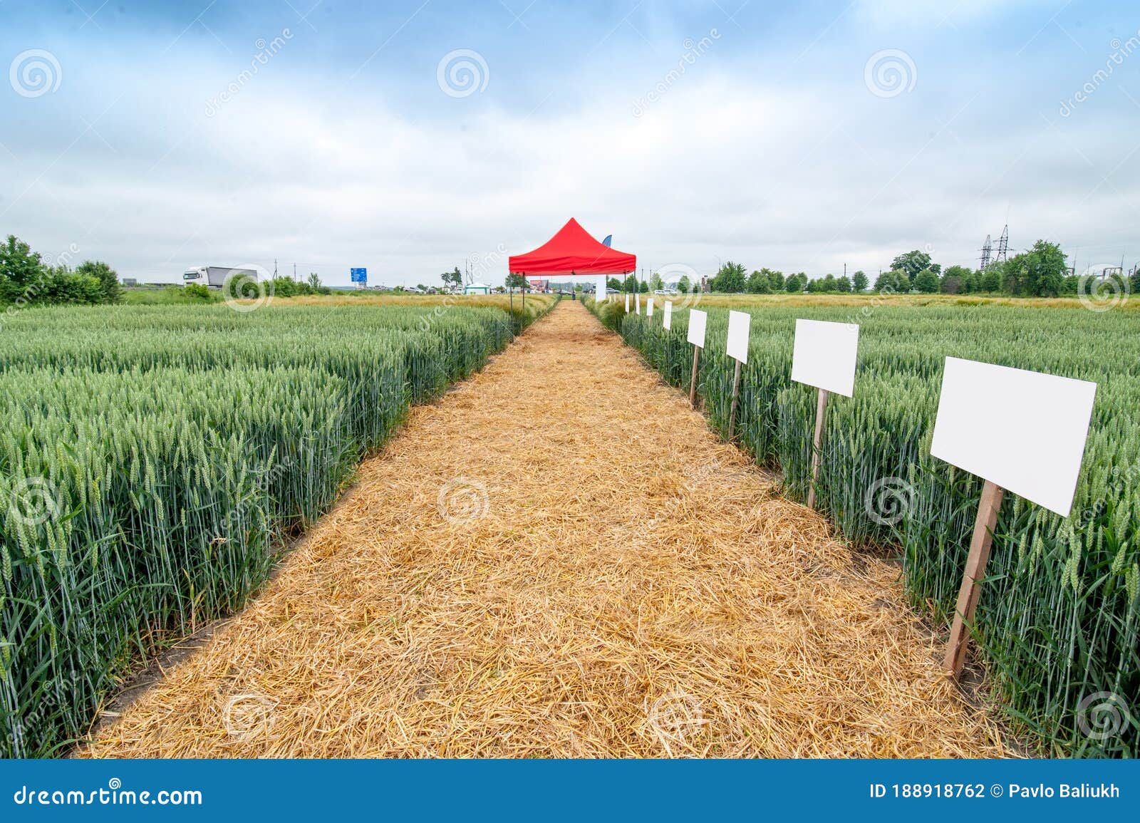 Demo Plots of Cereals with Pointers Flags, New Winter Barley and Wheat ...