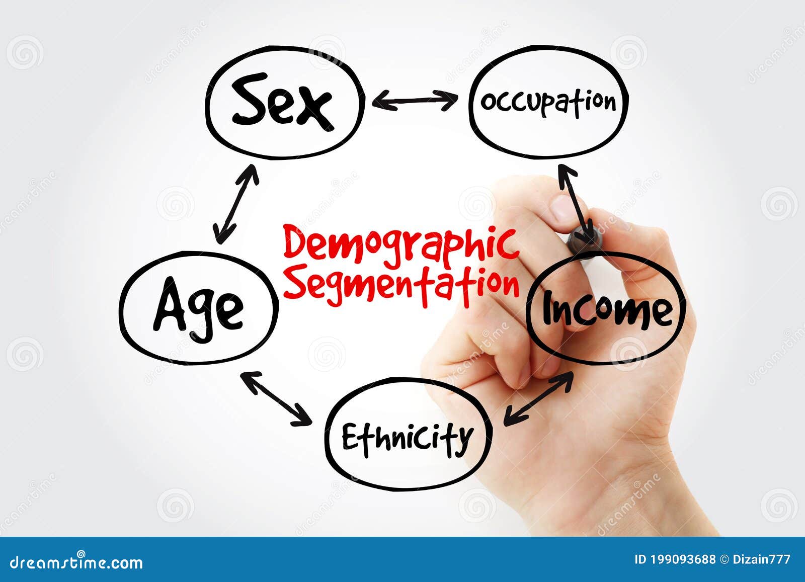 Demographic Segmentation Mind Map Flowchart Social Business Concept For ...