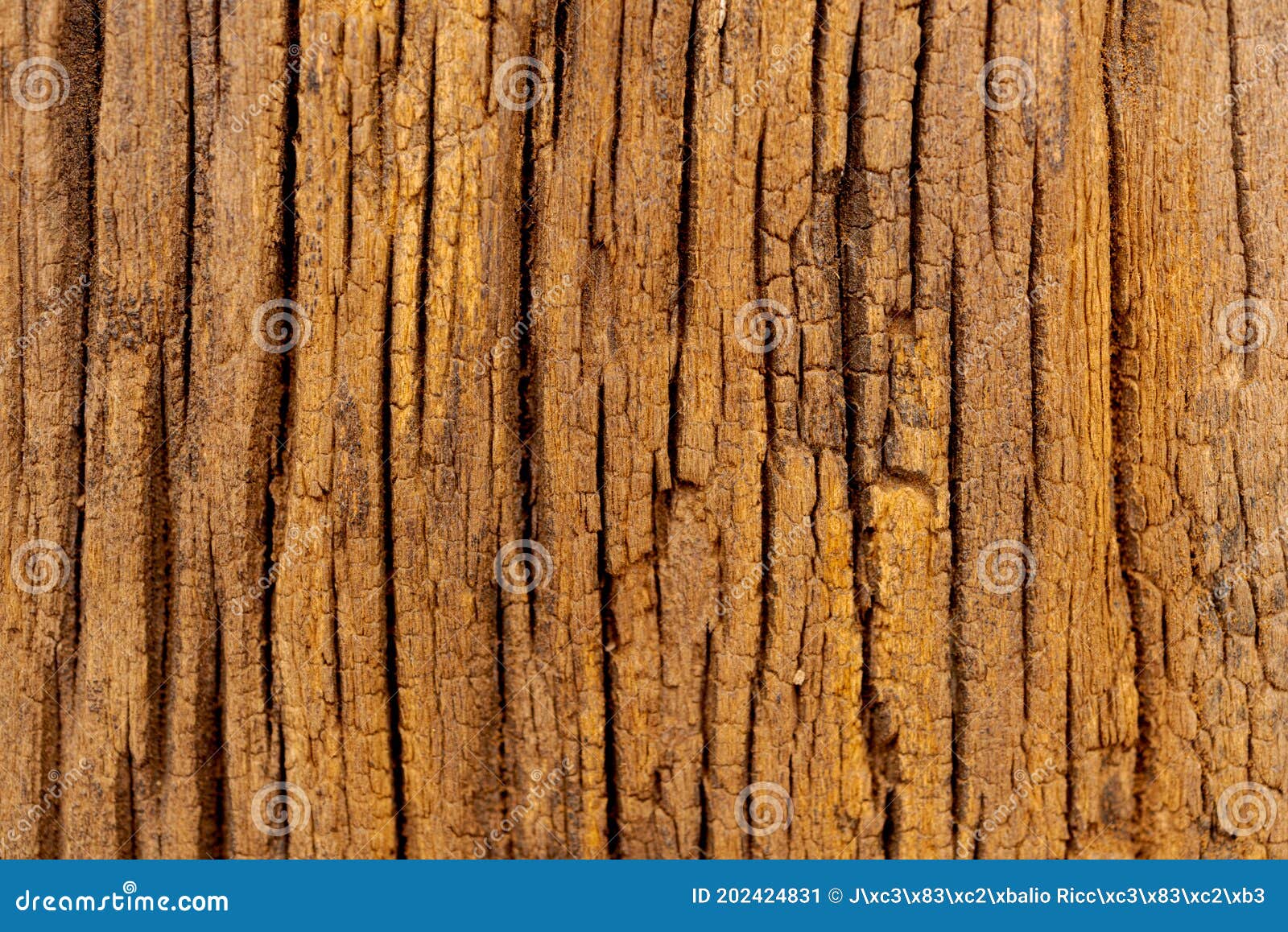 Demolition Wood Texture. Background, Copy Space Stock Image - Image of ...