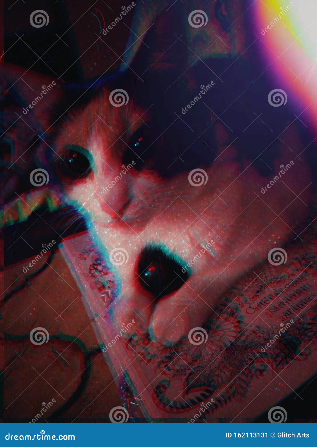 Demon Kitty stock image. Image of kitty, glitch, dark - 162113131