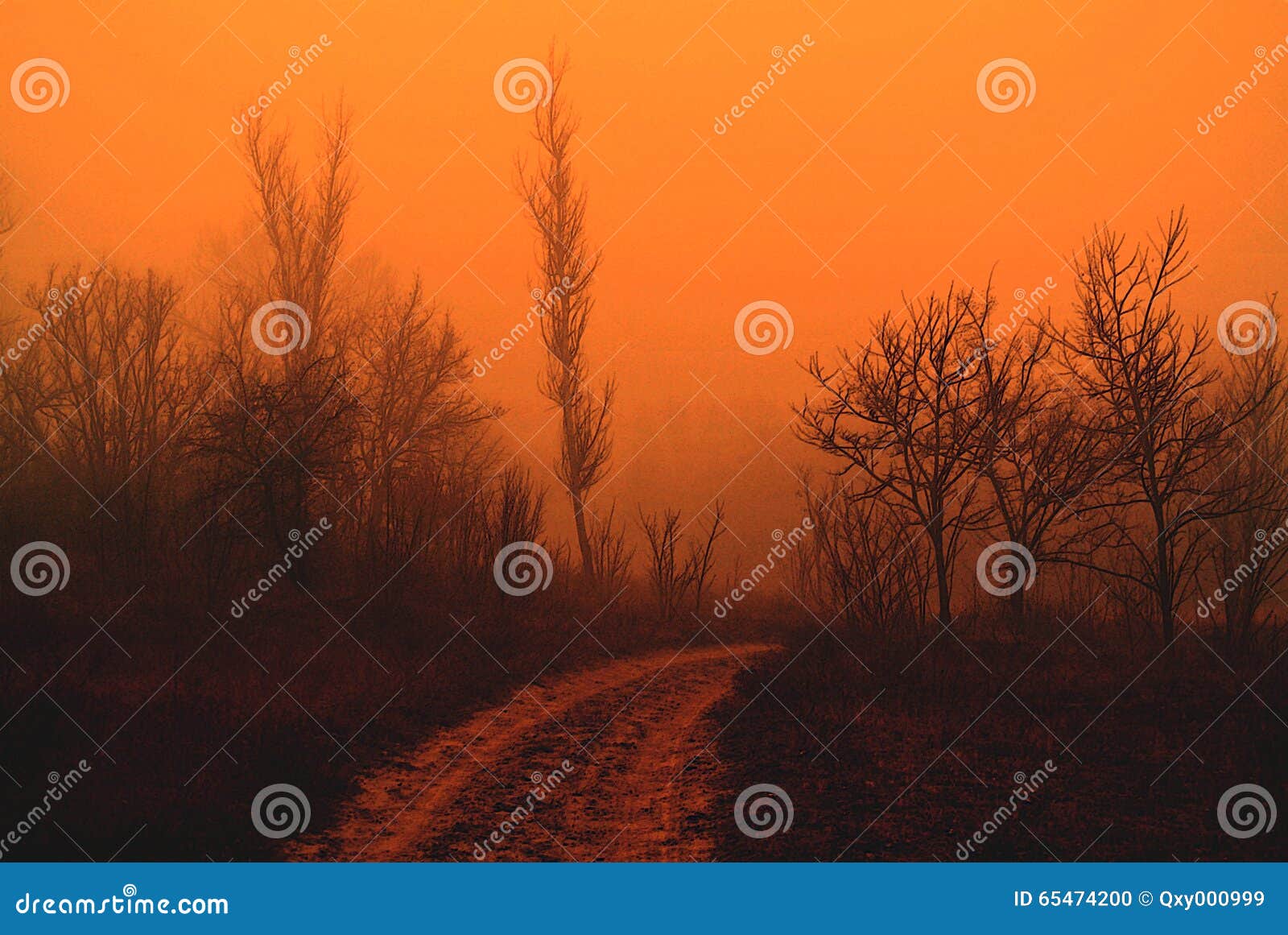 Demonic path stock photo. Image of abstract, burned, danger - 65474200