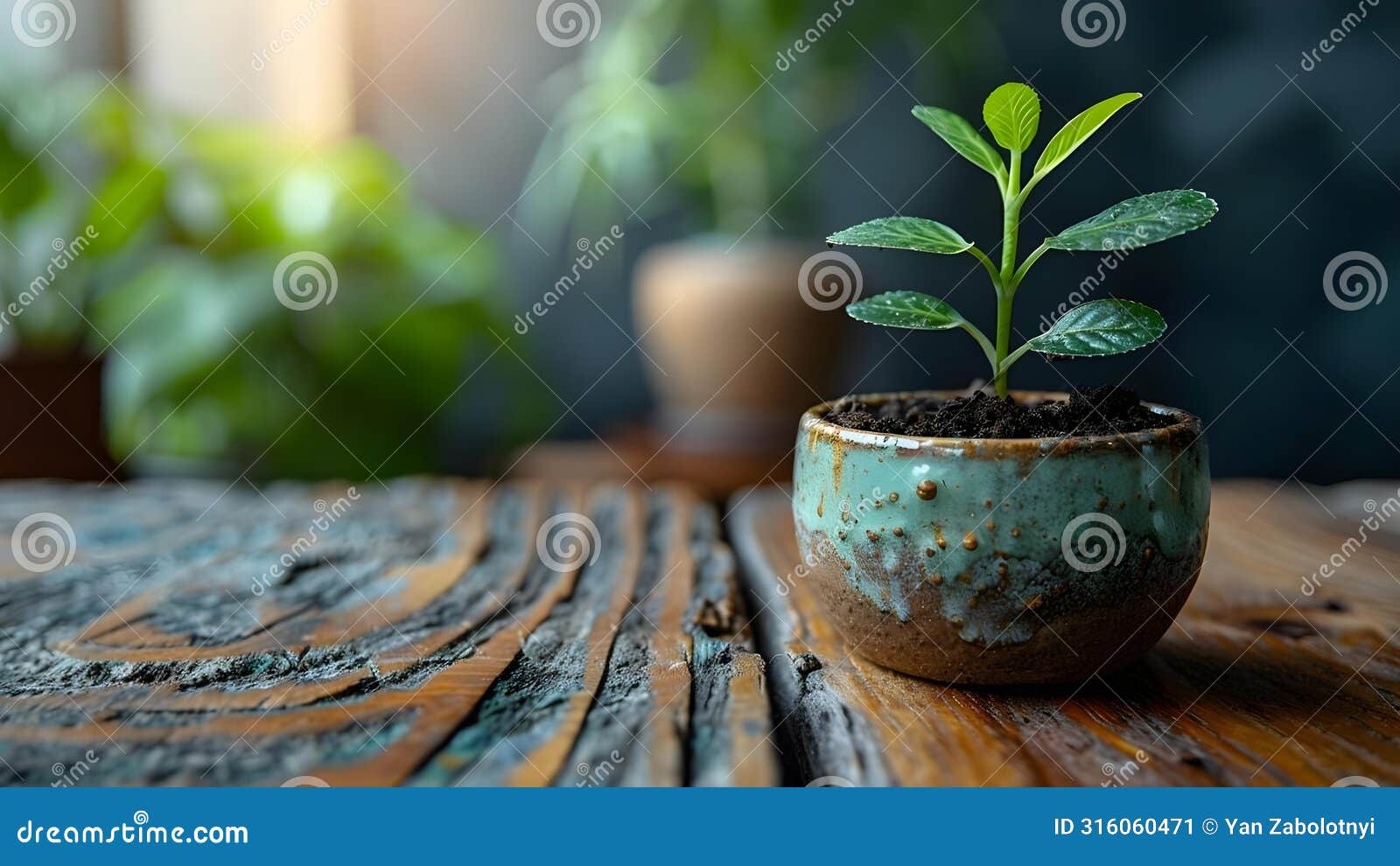 Demonstrating Steady Growth and Improvement through Data. Concept Data ...