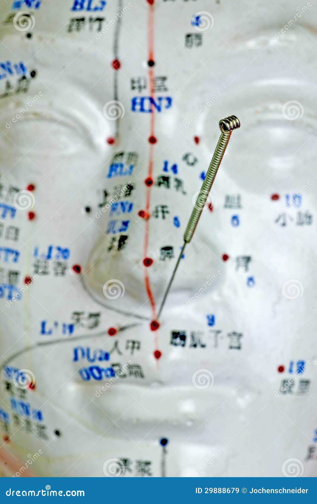 Acupuncture Needle on Head Model Stock Image - Image of medicine ...