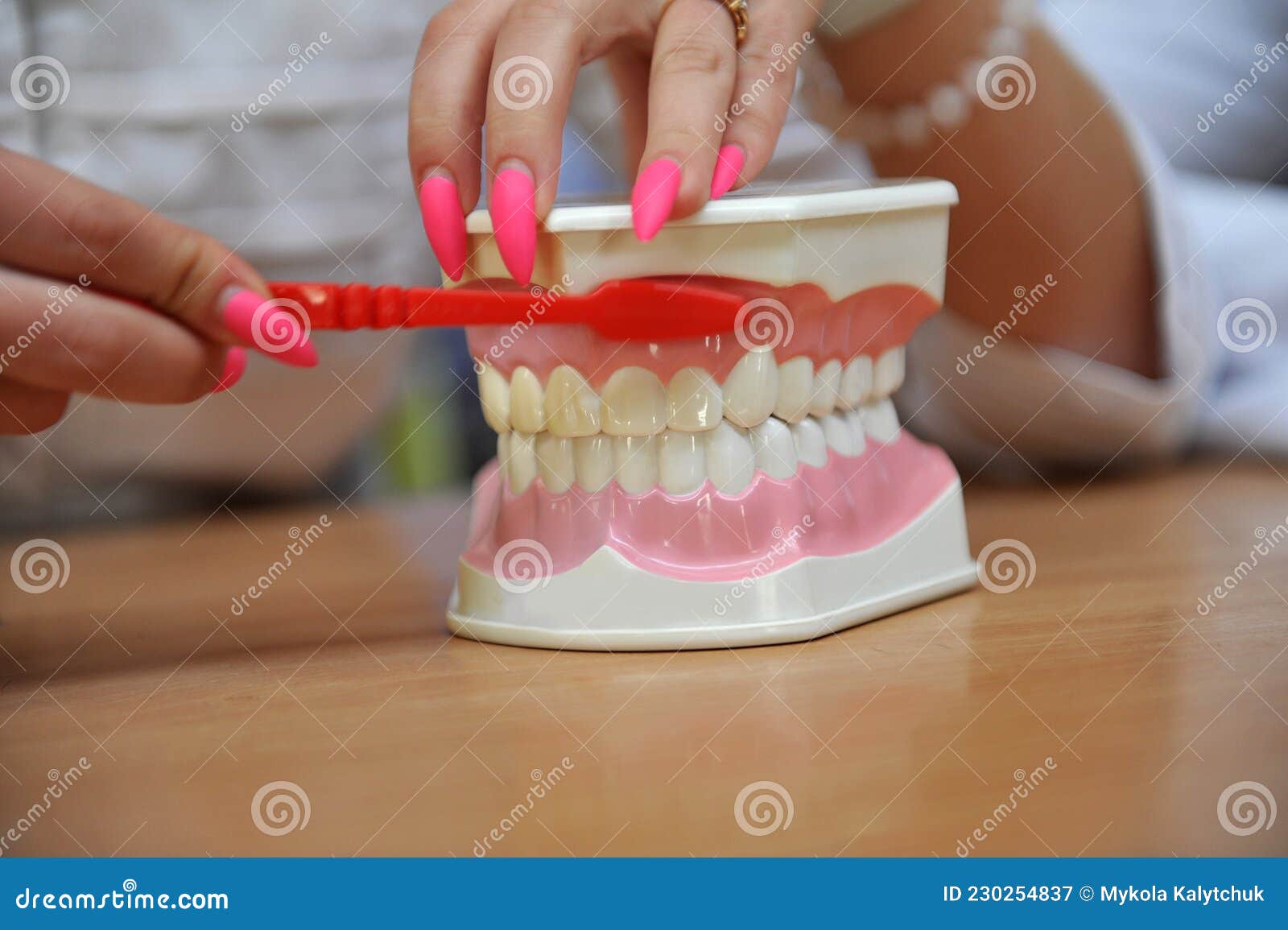 Demonstration of Methods of Brushing Teeth on the Training Model Stock ...