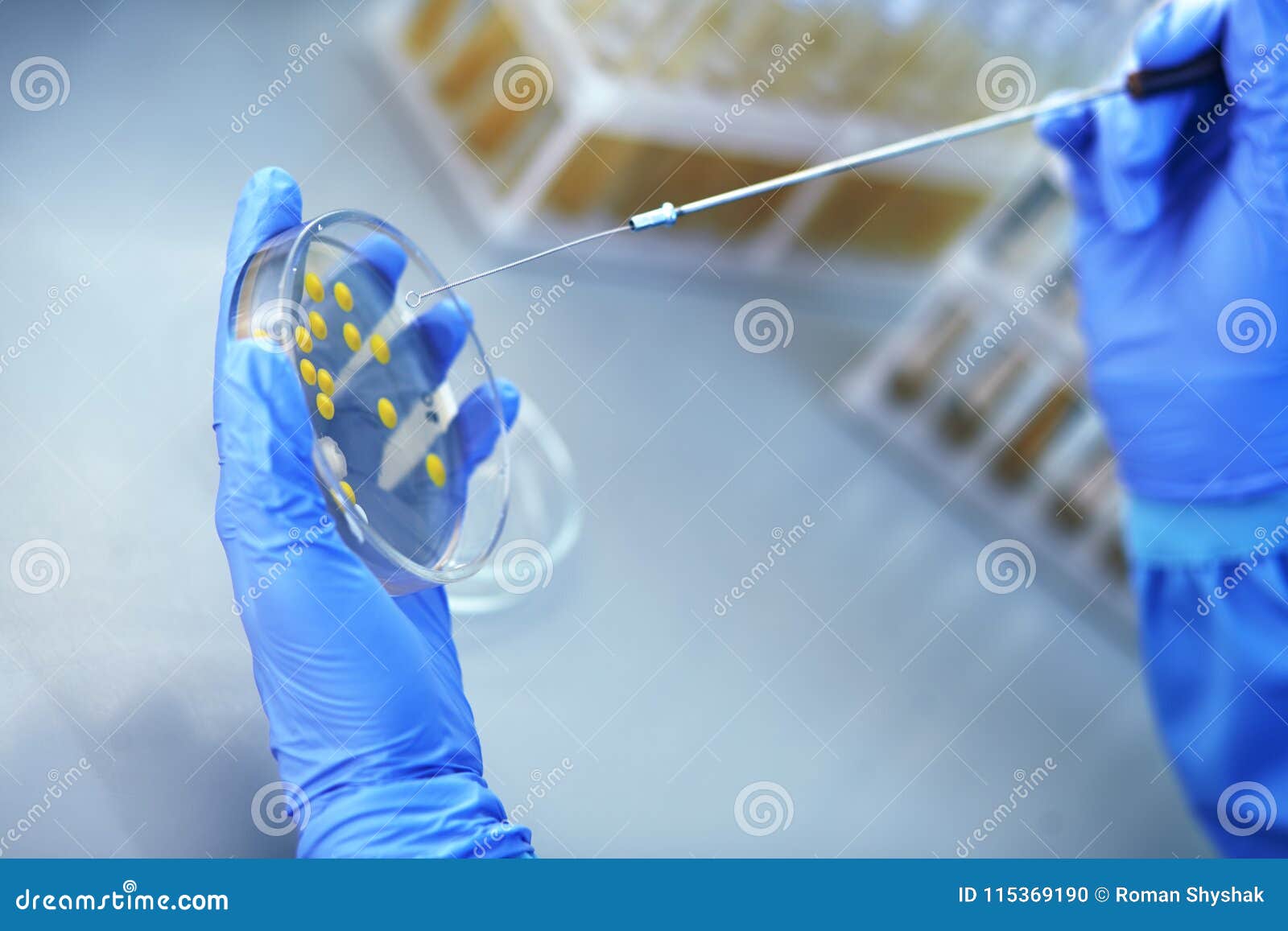 Demonstration of Processes in the Microbiology Laboratory. Stock Photo ...