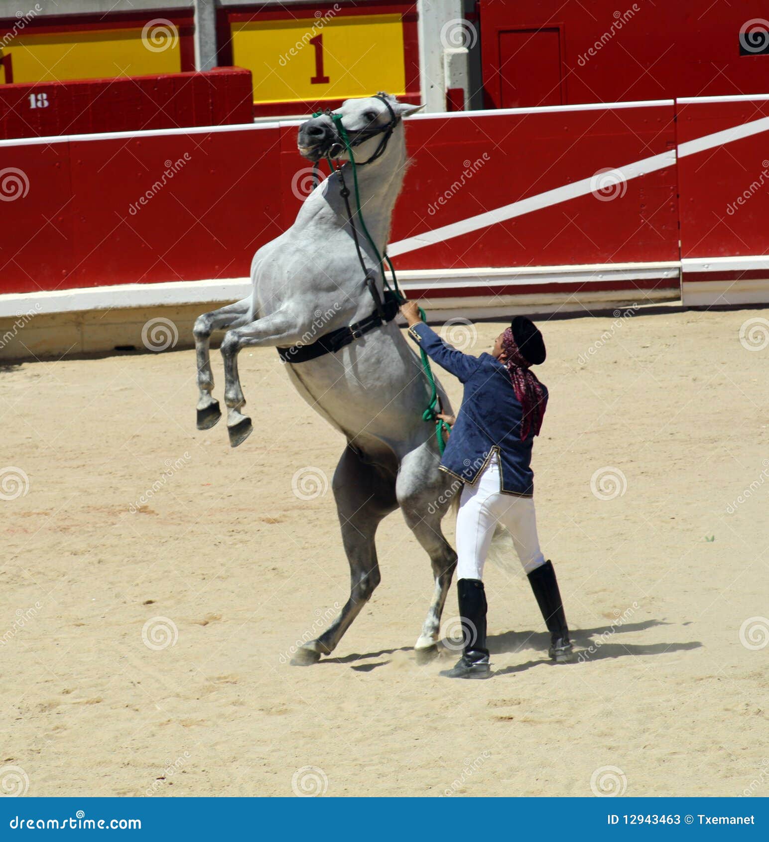 Demonstration of Taming Horse in the Bullring of P Editorial Stock ...
