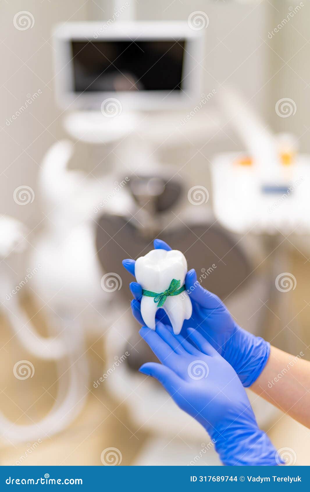 Demonstrative Model of Teeth. Tooth Plastic Model Stock Photo - Image ...