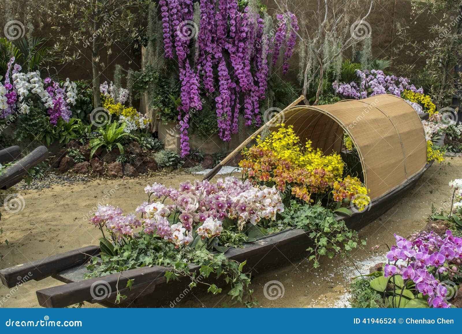 Demostraci?n De La Orqu?dea Foto de archivo - Imagen de flor, parque ...