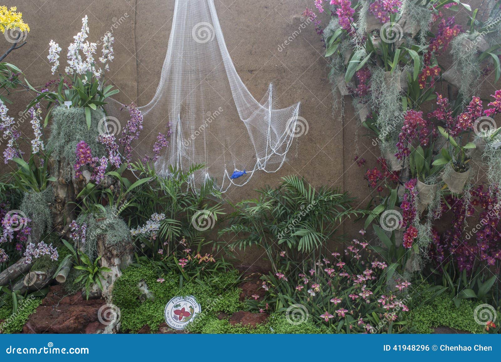 Demostraci?n De La Orqu?dea Foto de archivo - Imagen de arbusto, hoja ...