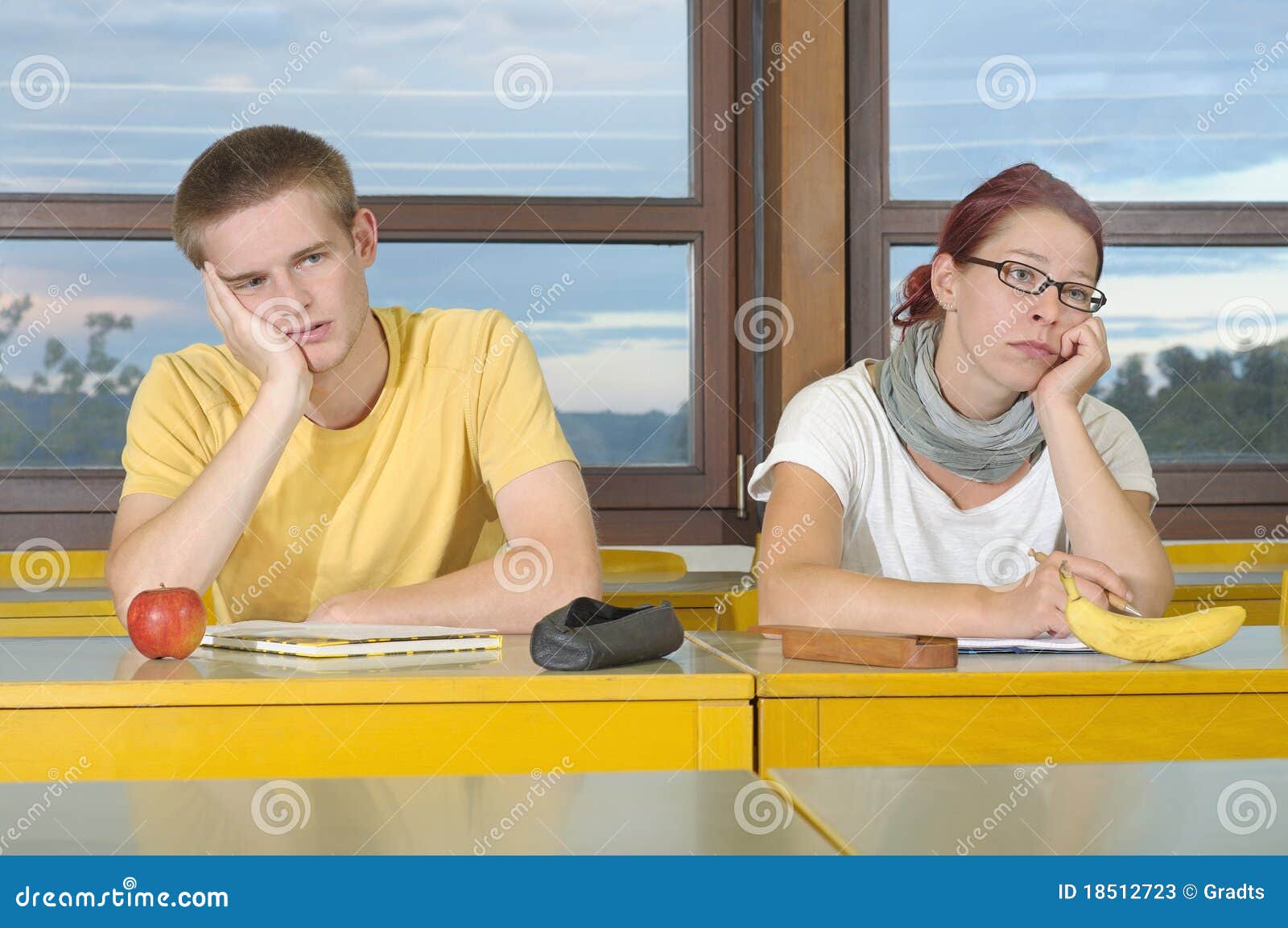Demotivated lecture stock image. Image of classes, education - 18512723