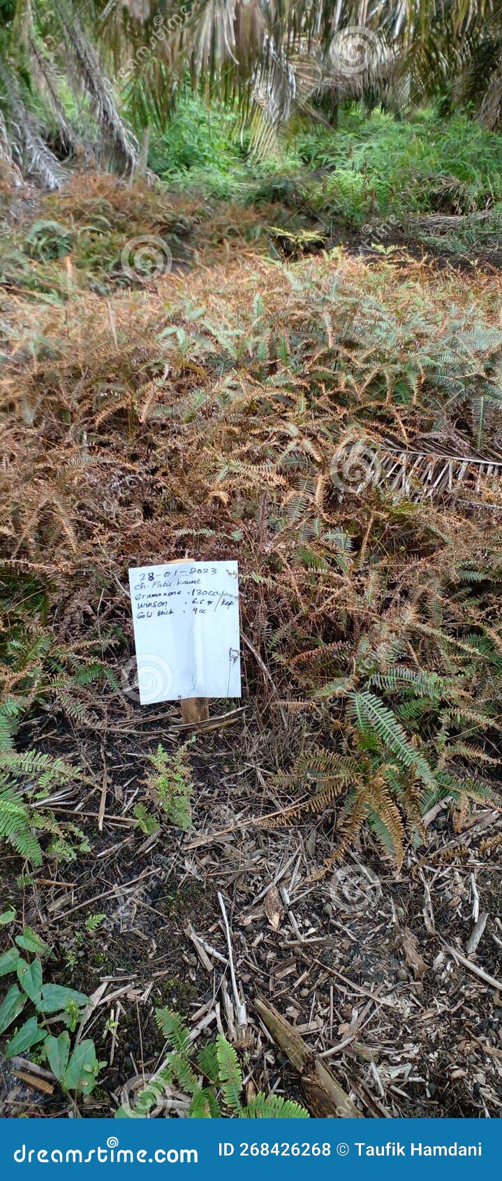 Demplot chemical stock photo. Image of plot, demonstration - 268426268