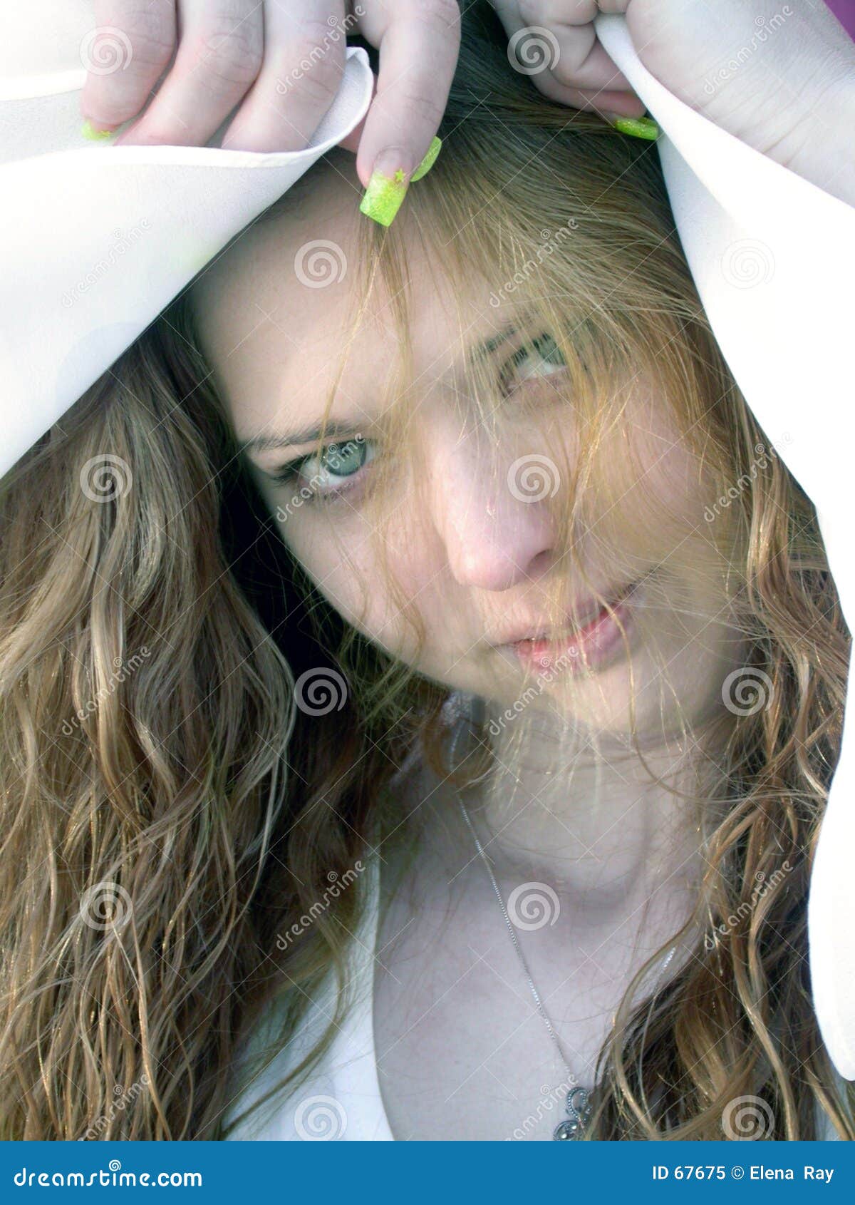 Demure stock image. Image of beauty, classical, botticelli - 67675