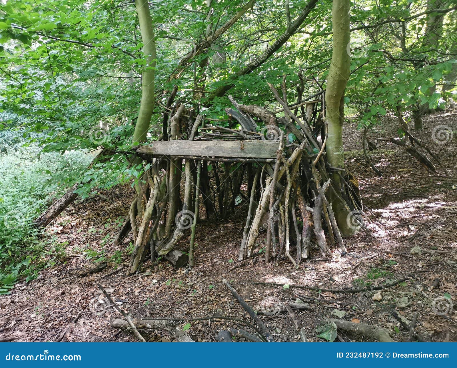 Den building forest stock photo. Image of nature, plant - 232487192