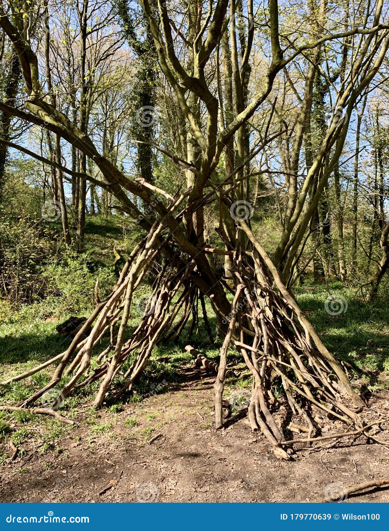 Den stock image. Image of wigwam, home, adventure, wood - 179770639