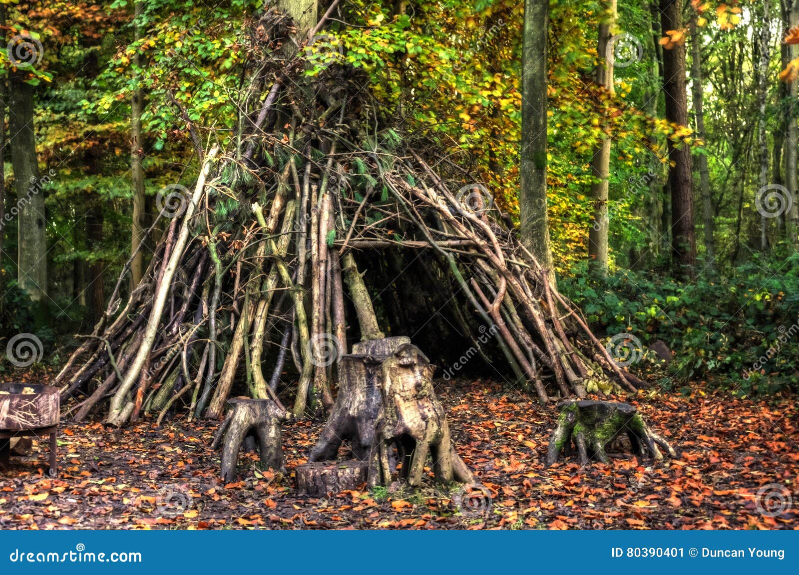 The den stock image. Image of tree, landscape, green - 80390401