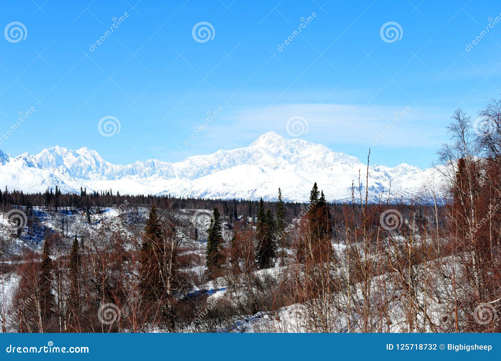 Denali, Aka El Monte McKinley Foto de archivo - Imagen de highest ...