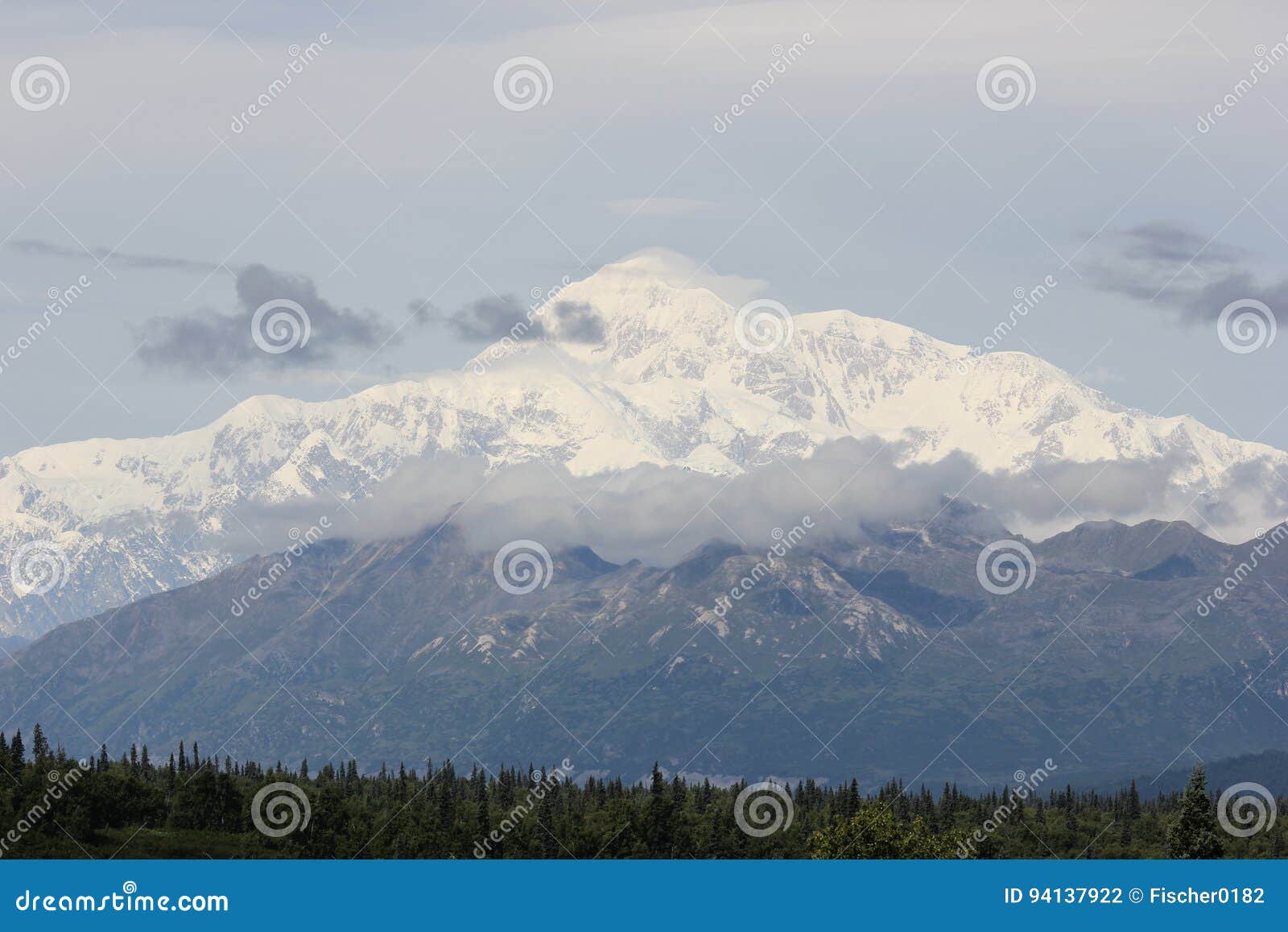 Denali stock photo. Image of denali, national, alaska - 94137922