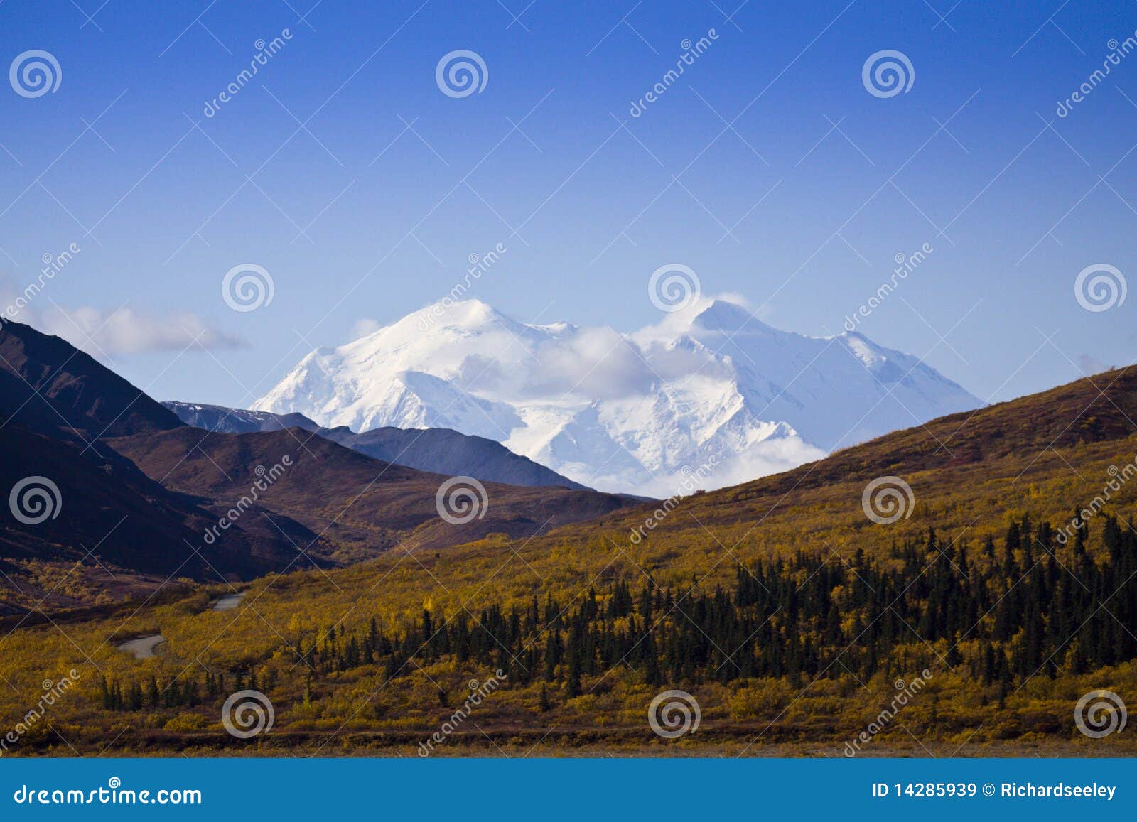 Denali - the Big One stock image. Image of glacier, national - 14285939