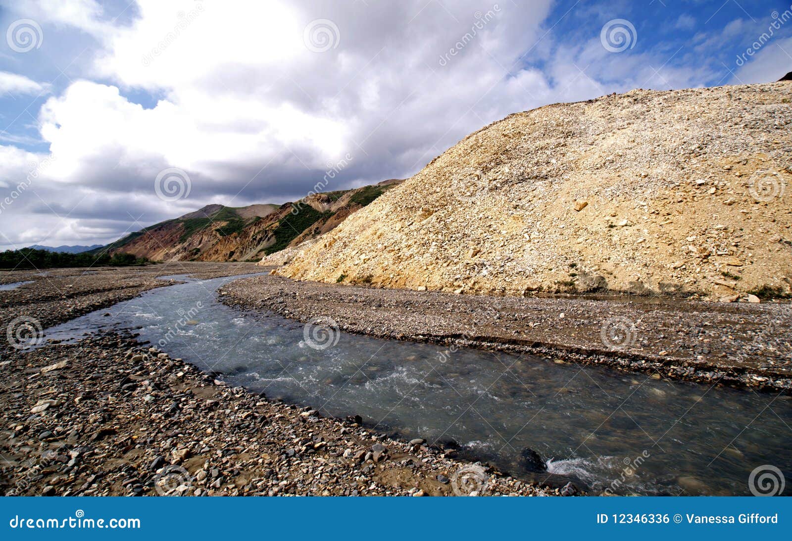 Denali Braided River stock photo. Image of glacial, hilly - 12346336