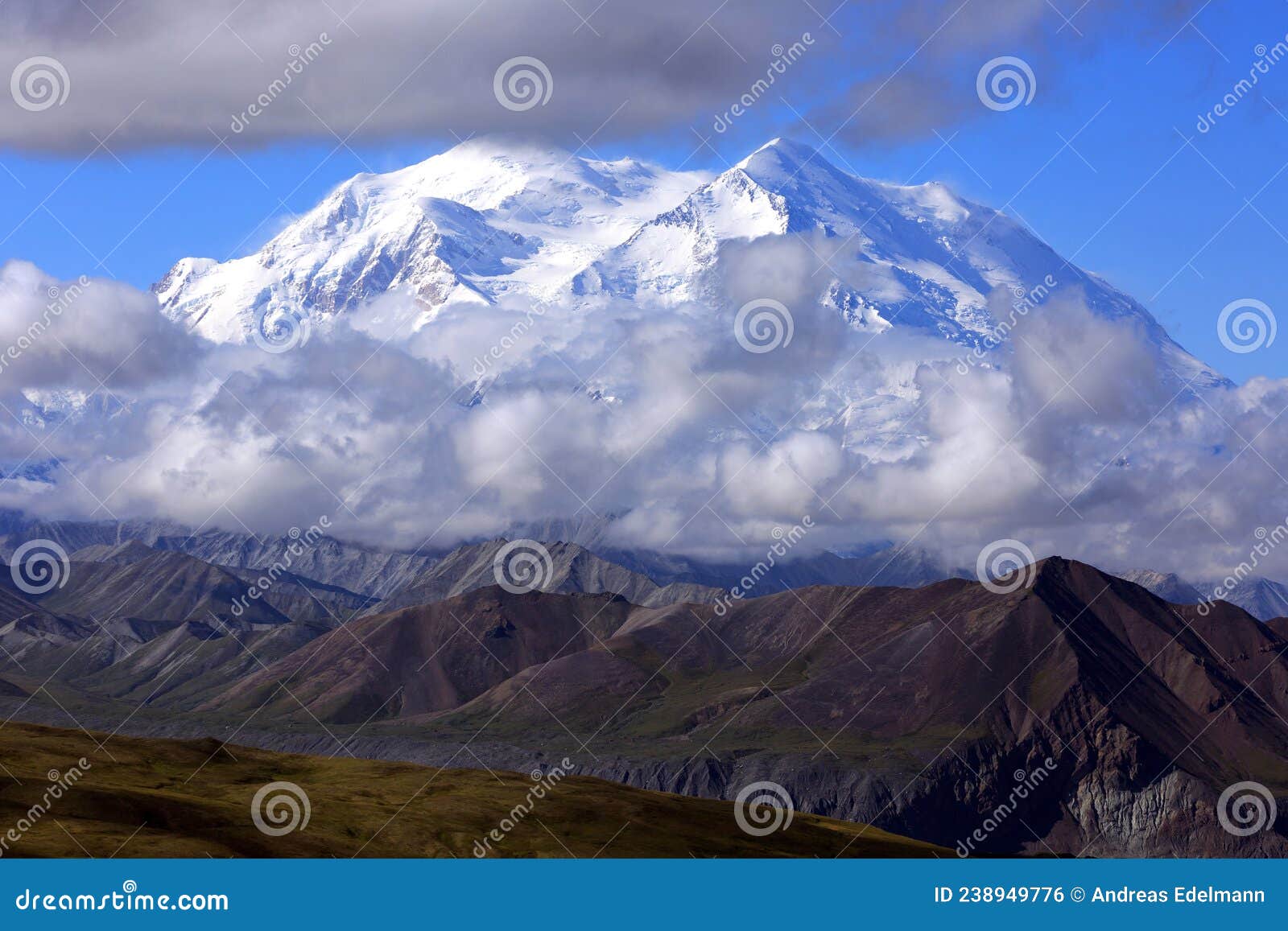 Panoramic View of Denali National Park Stock Photo - Image of vastness ...