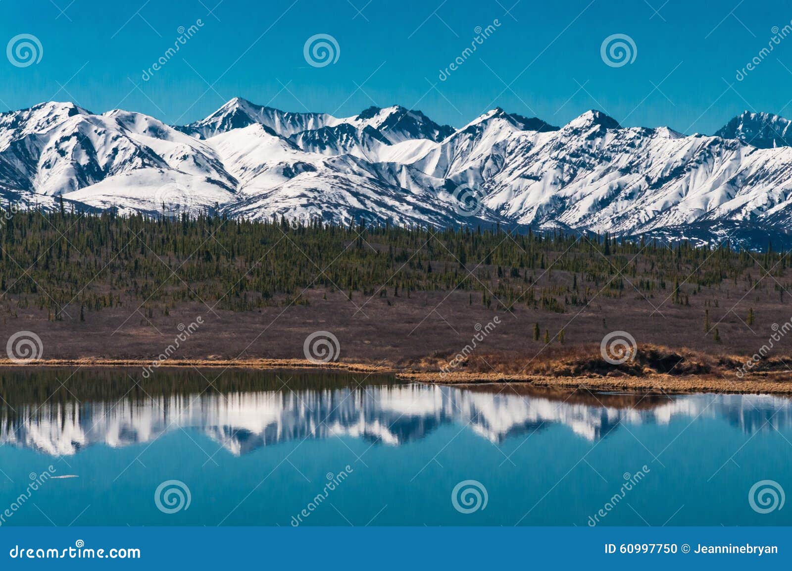 Denali Highway stock photo. Image of denali, landscape - 60997750