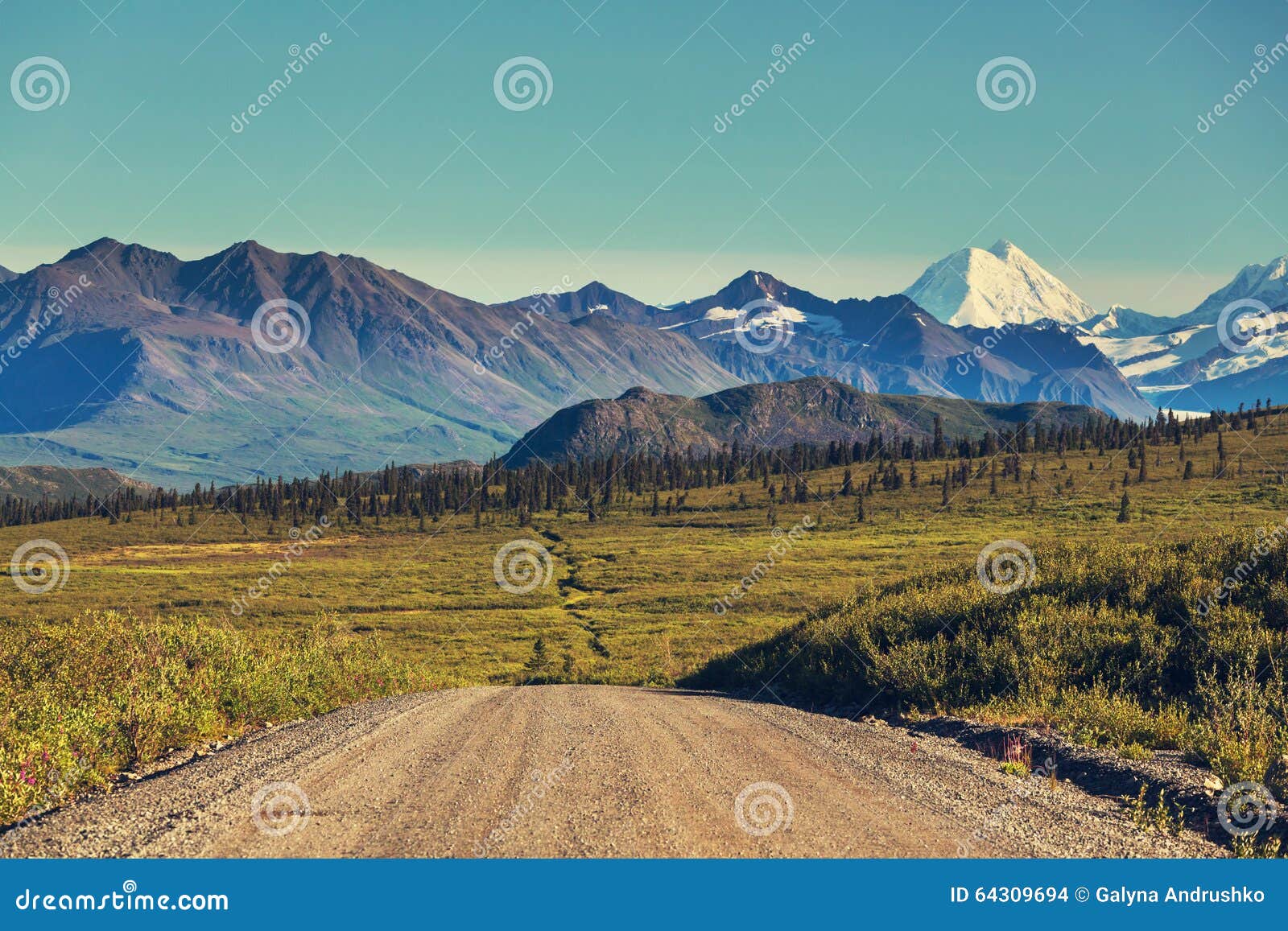 Denali highway stock photo. Image of fall, alaska, route - 64309694
