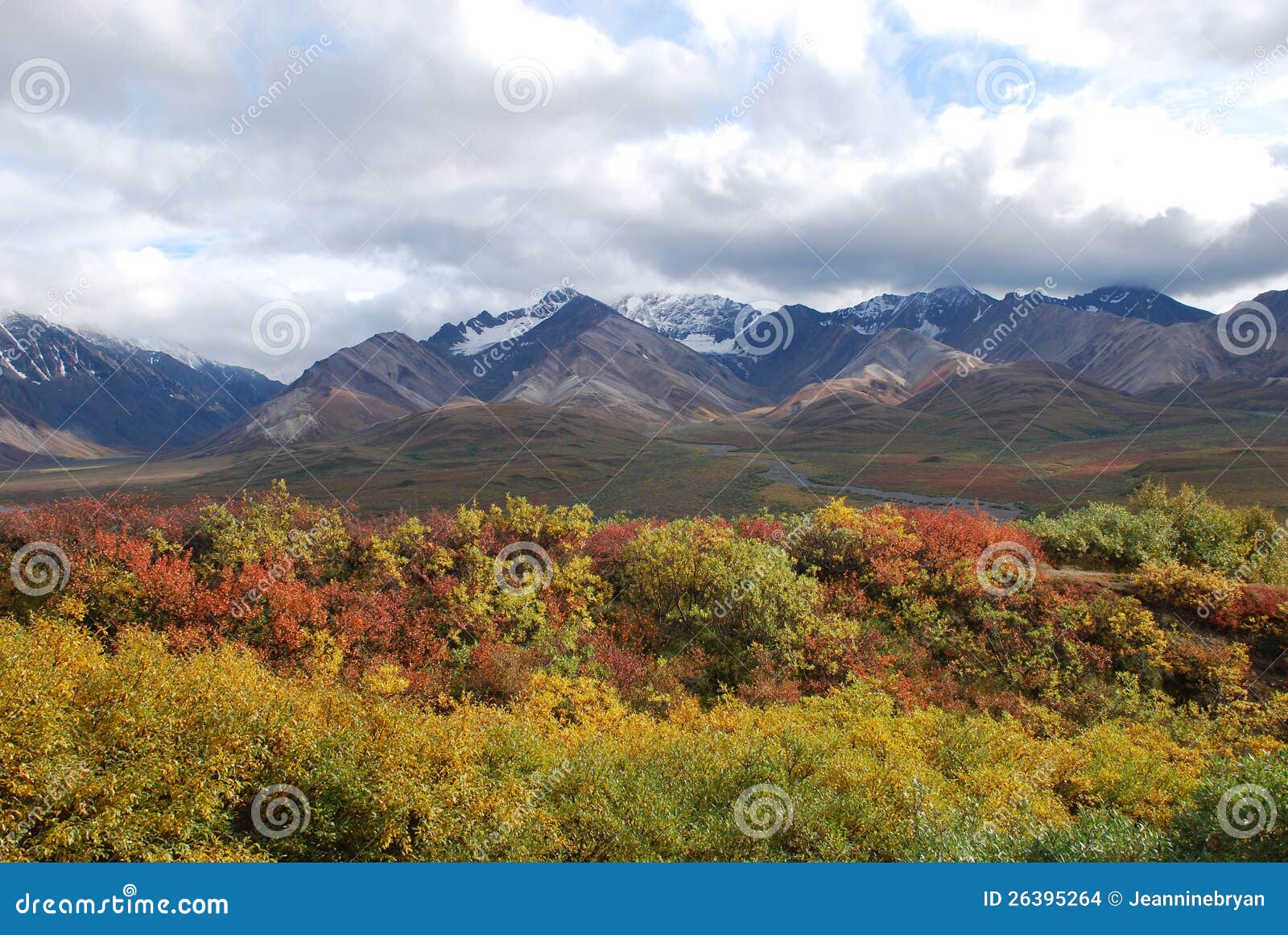 Denali National Park Fall stock photo. Image of travel - 26395264