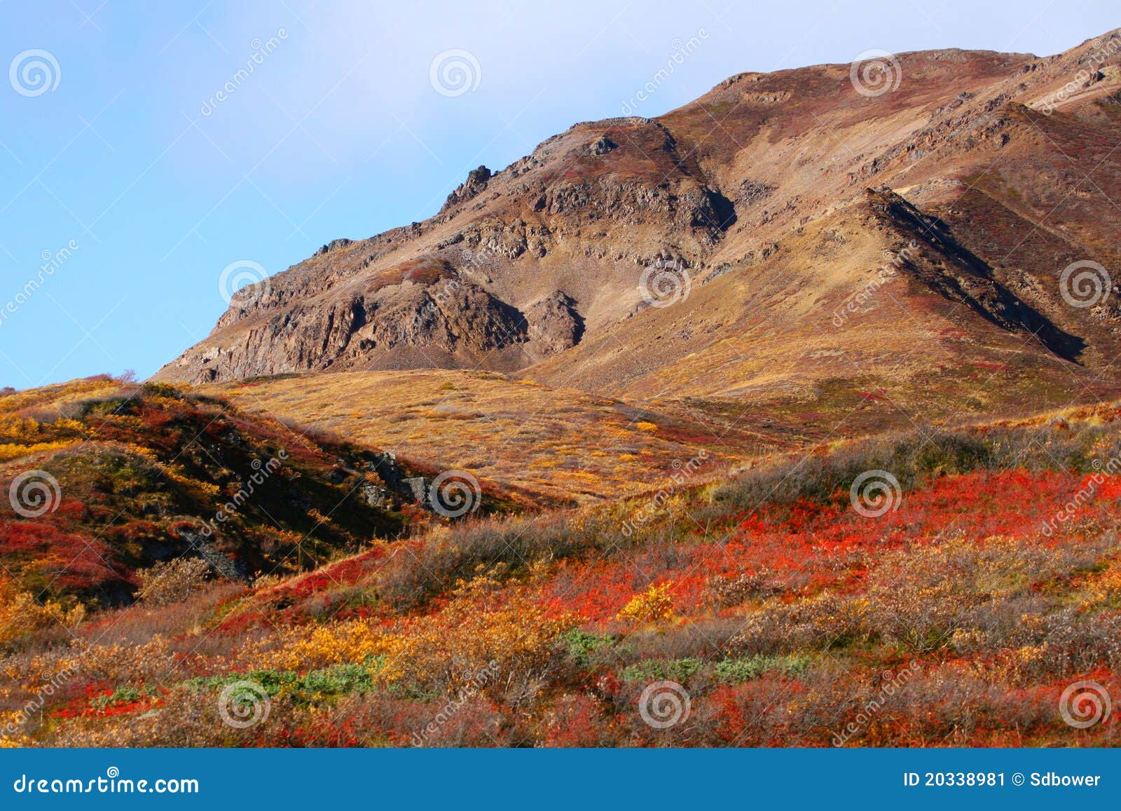 Denali National Park in Fall Colors Stock Image - Image of autumn ...