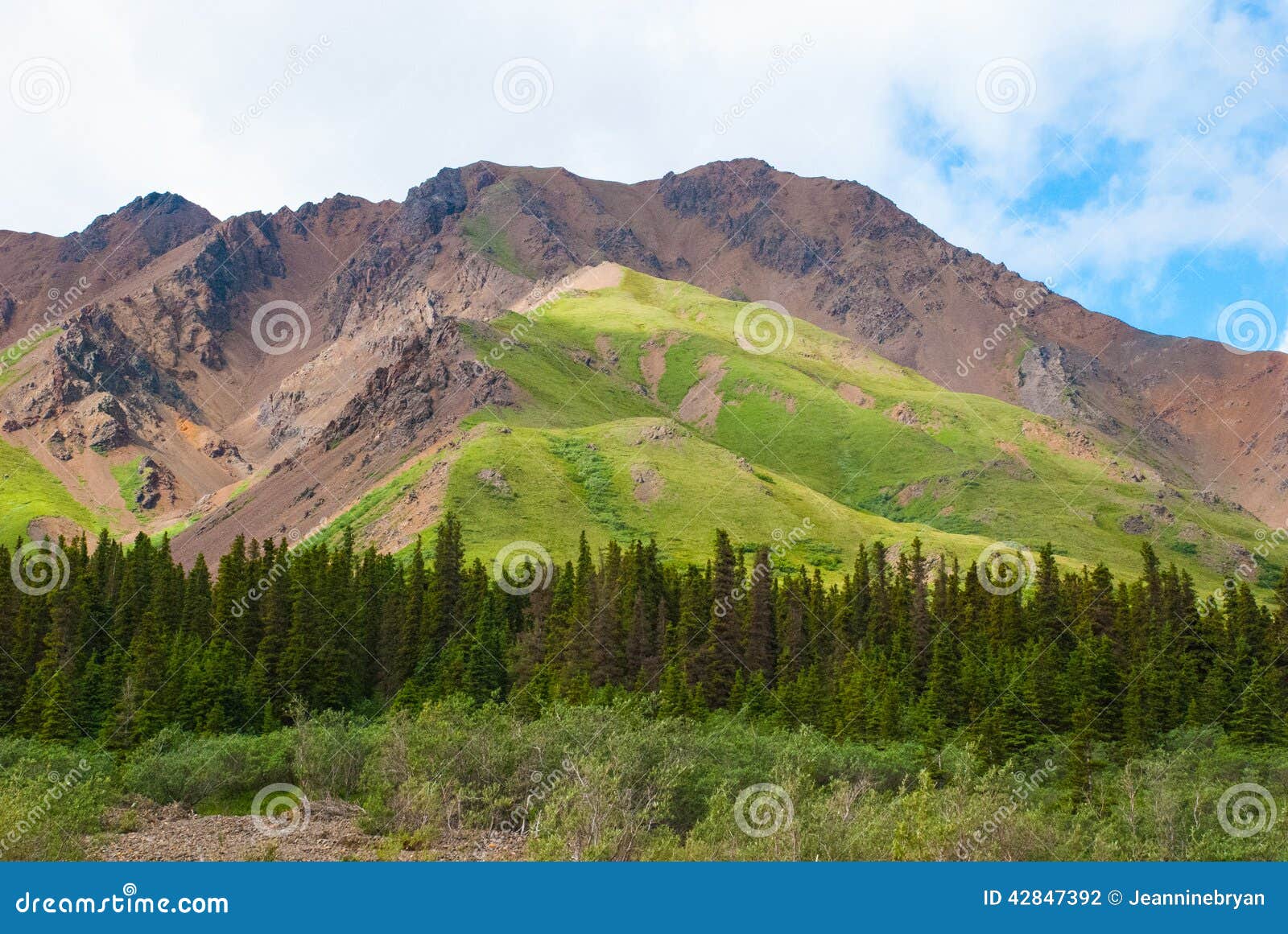 Denali National Park Landscape Stock Photo - Image of clouds, green ...