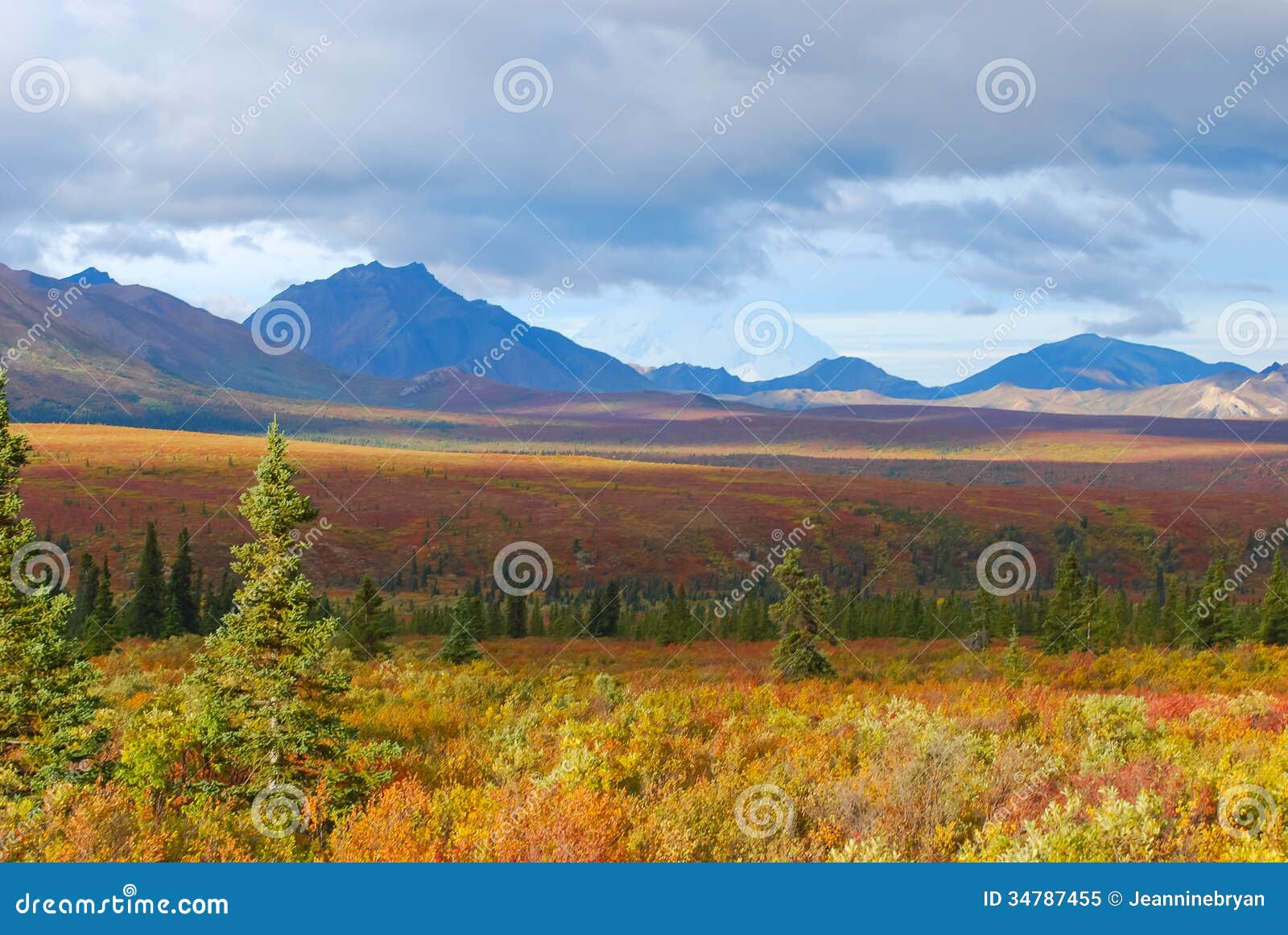 Denali National Park Landscape Stock Image - Image of landscape, hilly ...