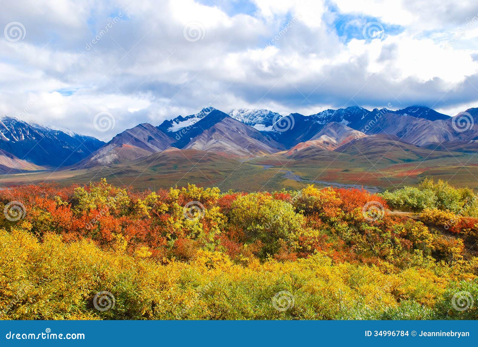 Denali National Park Landscape Stock Photo - Image of alaska, autumnal ...