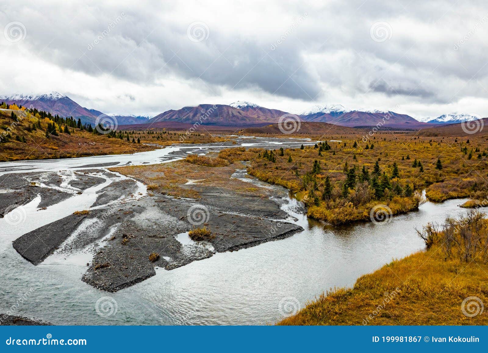 Denali National Park Savage River Canyon Trail View Stock Image - Image ...