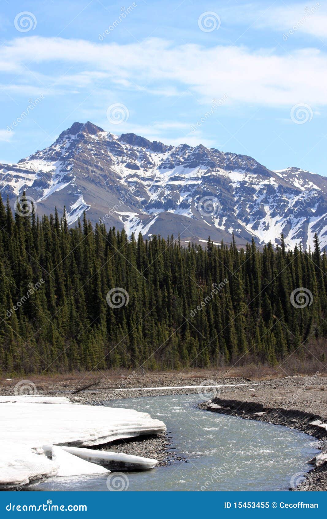 Denali National Park in Spring Stock Image - Image of interior ...