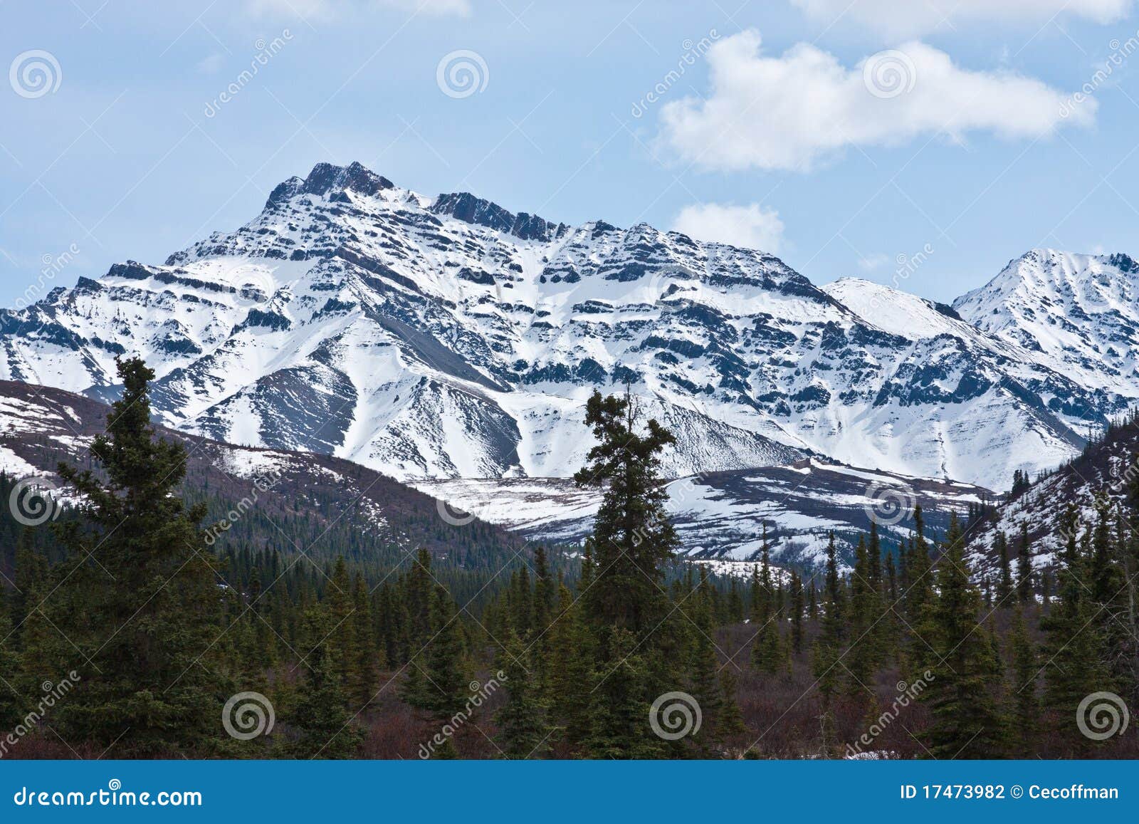 Denali National Park in Spring Stock Photo - Image of bushes, trees ...