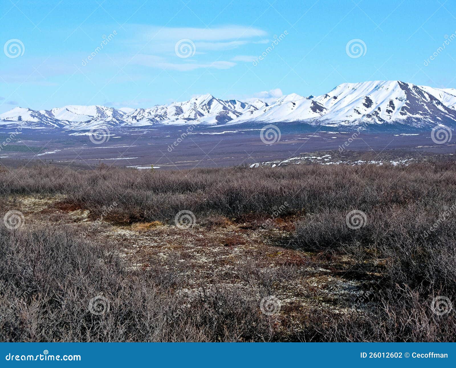 Denali National Park in Spring Stock Photo - Image of spring, north ...