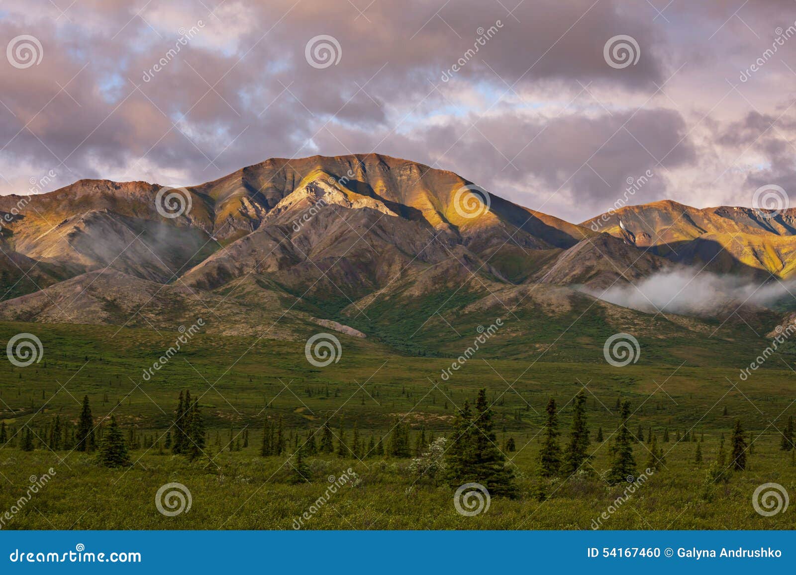 Denali stock photo. Image of mount, hill, autumn, scenery - 54167460