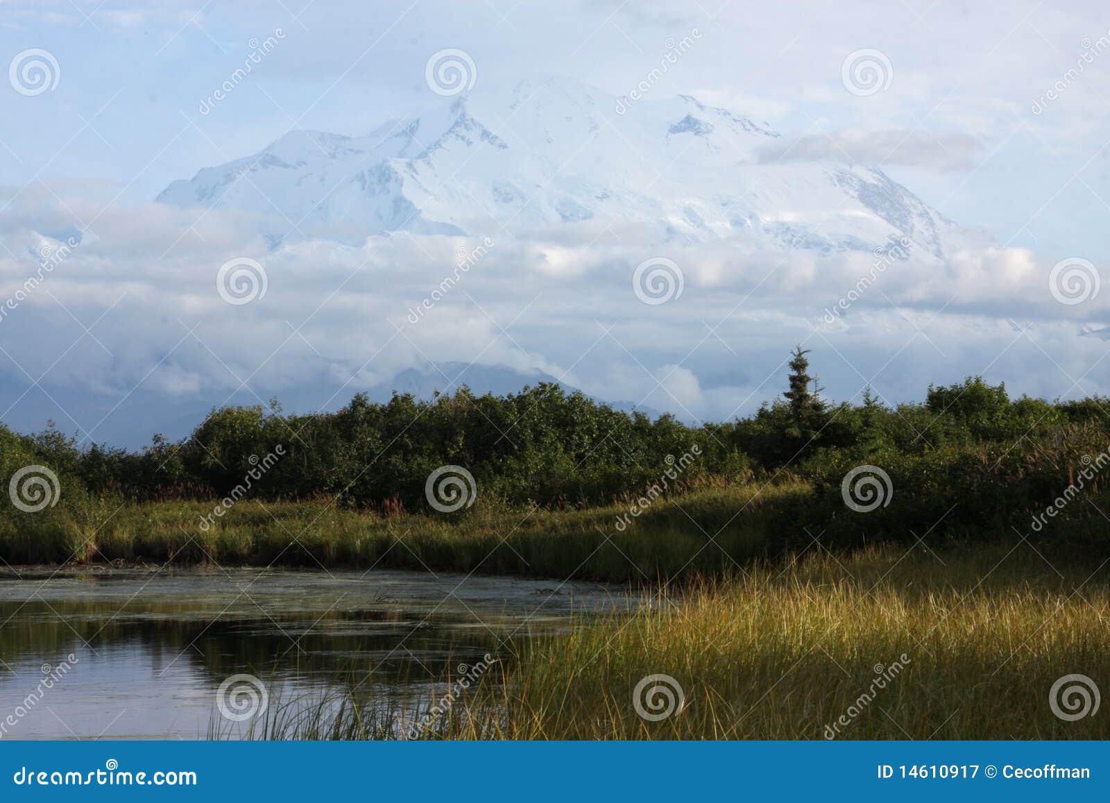 Denali and Reflection Pond stock image. Image of polar - 14610917