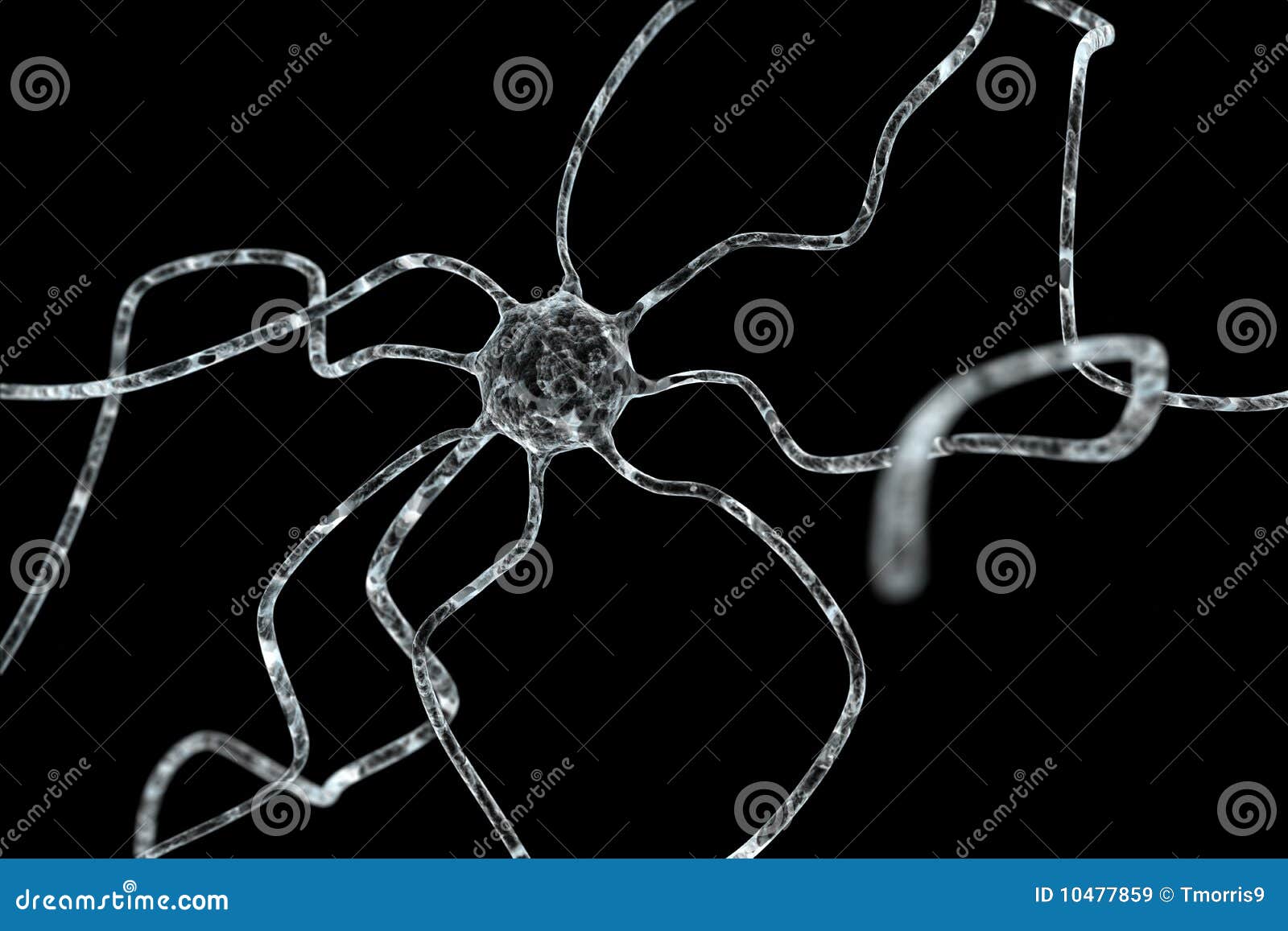 Dendrite stock illustration. Illustration of neuron, germ - 10477859