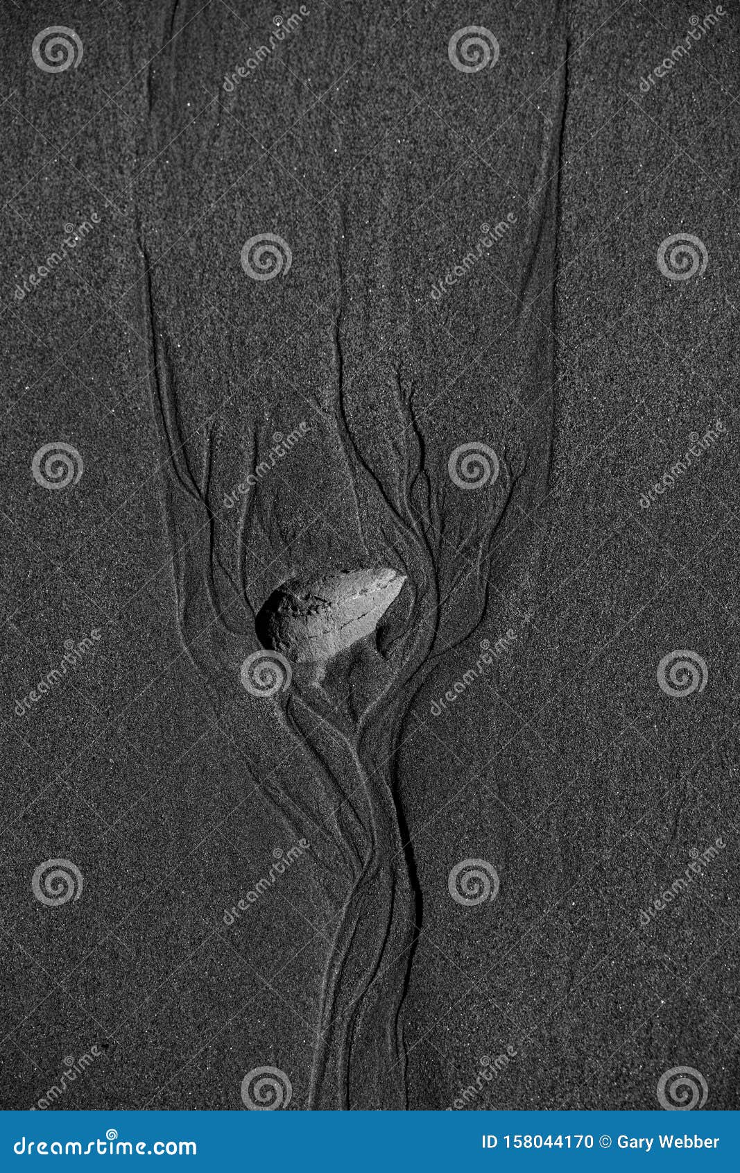 Dendrite Patterns Made by Water Flowing Around a Rock on the Beach ...