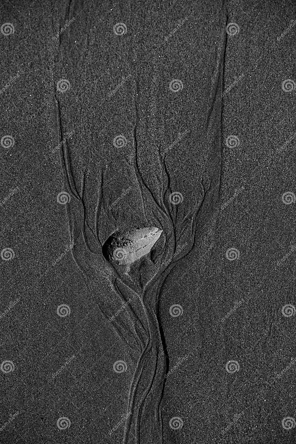 Dendrite Patterns Made by Water Flowing Around a Rock on the Beach ...