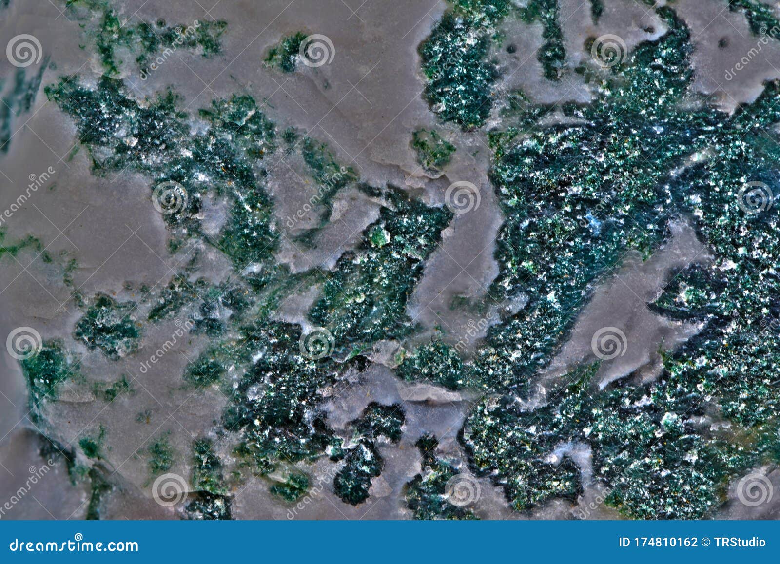 Dendrite / Tree Agate HDR Closeup Stock Photo - Image of tree, dendrite ...