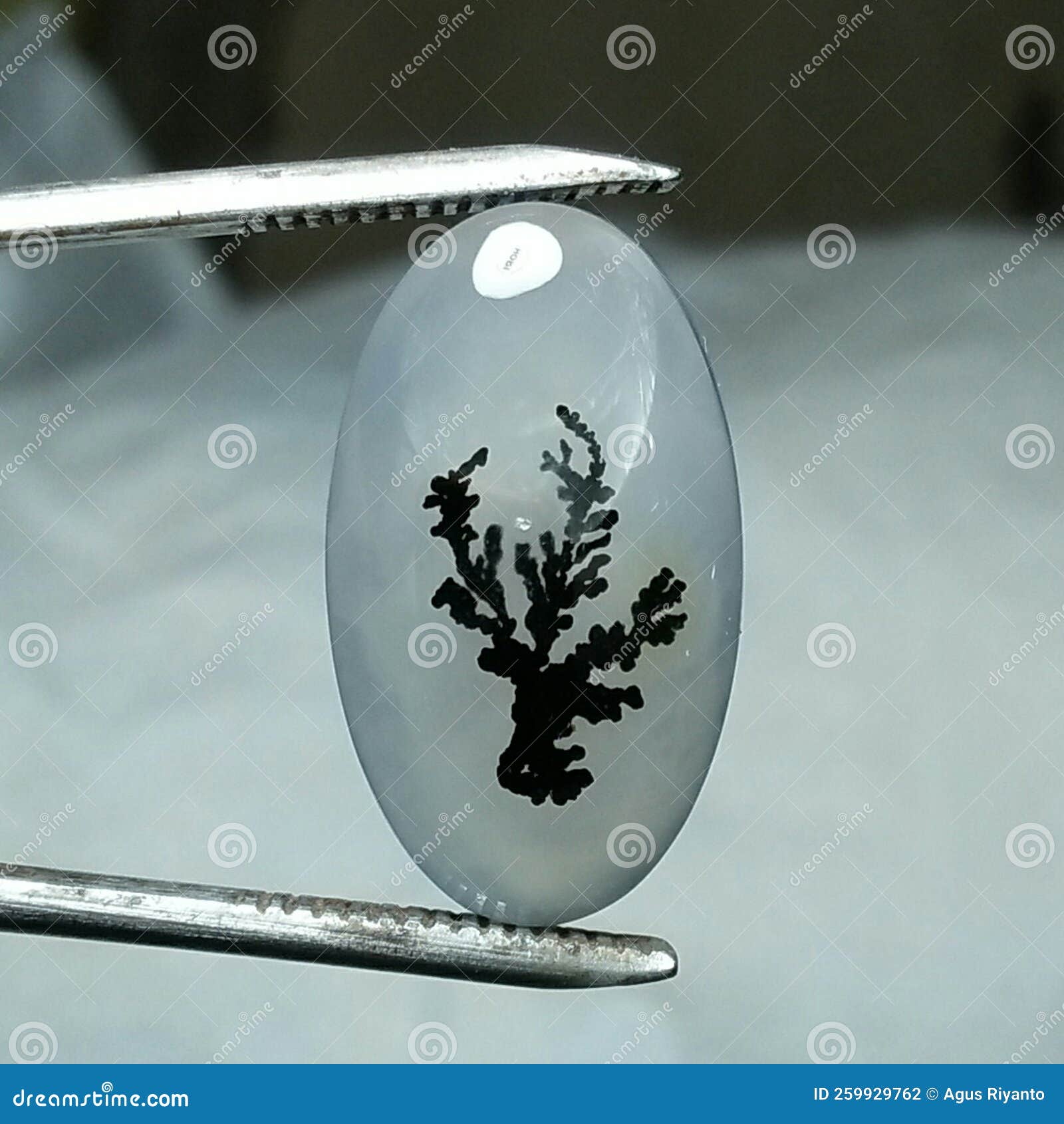Dendritic Agate Stone stock photo. Image of metal, light - 259929762